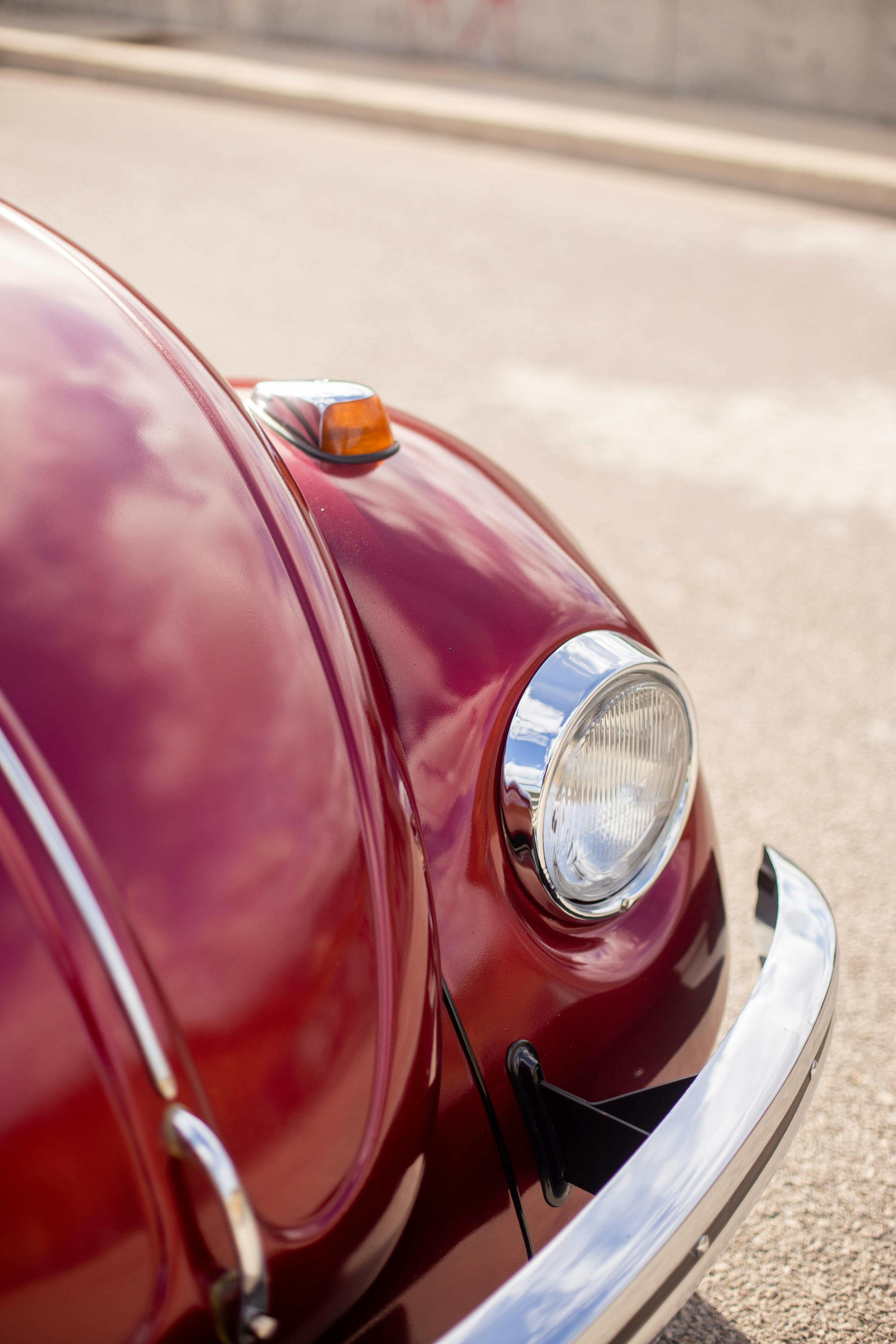 Imx.To+Bella Model Photos, Download The BEST Free Imx.To+Bella Model ...