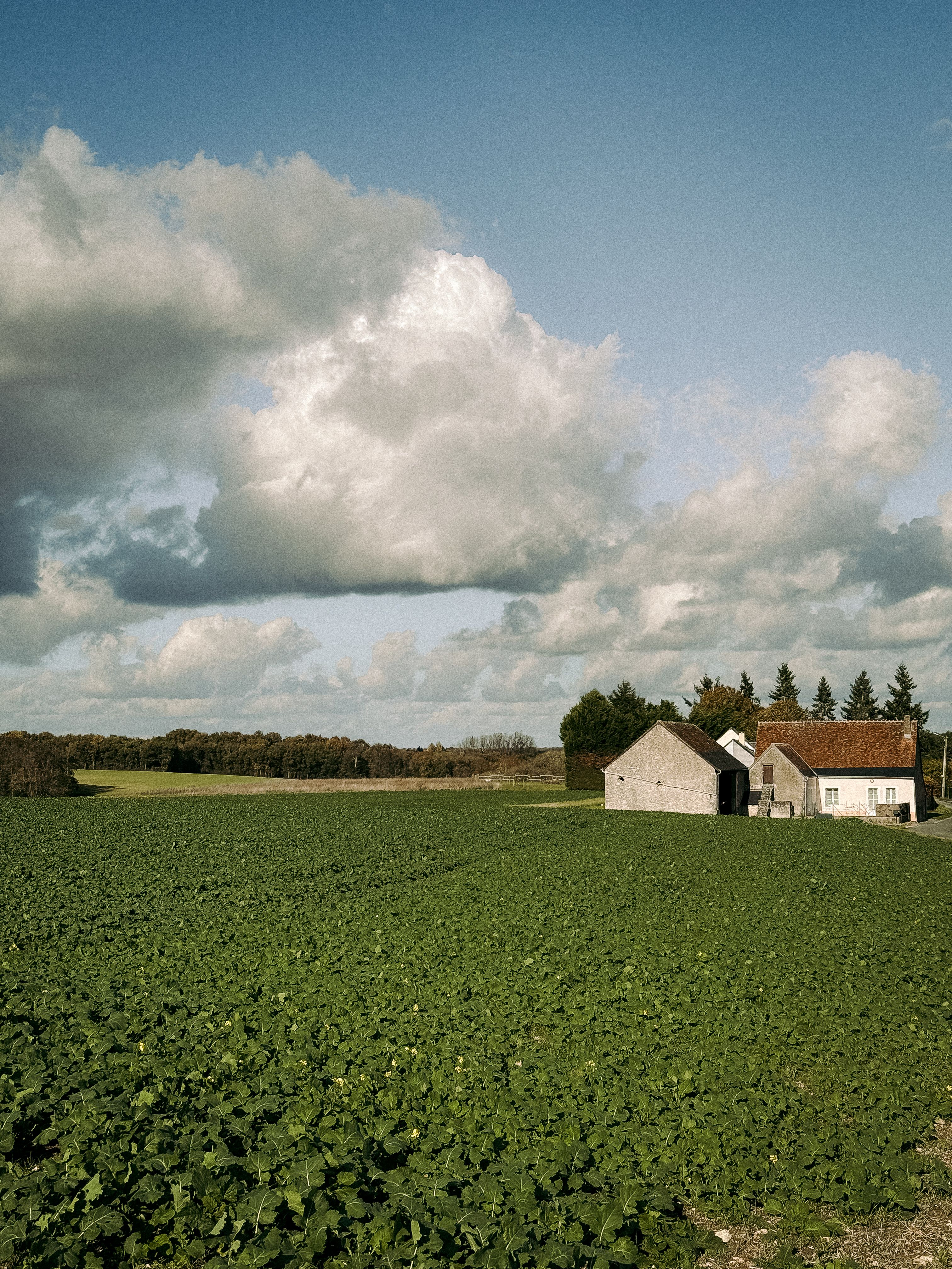 Rural French Countryside with Farmhouse · Free Stock Photo