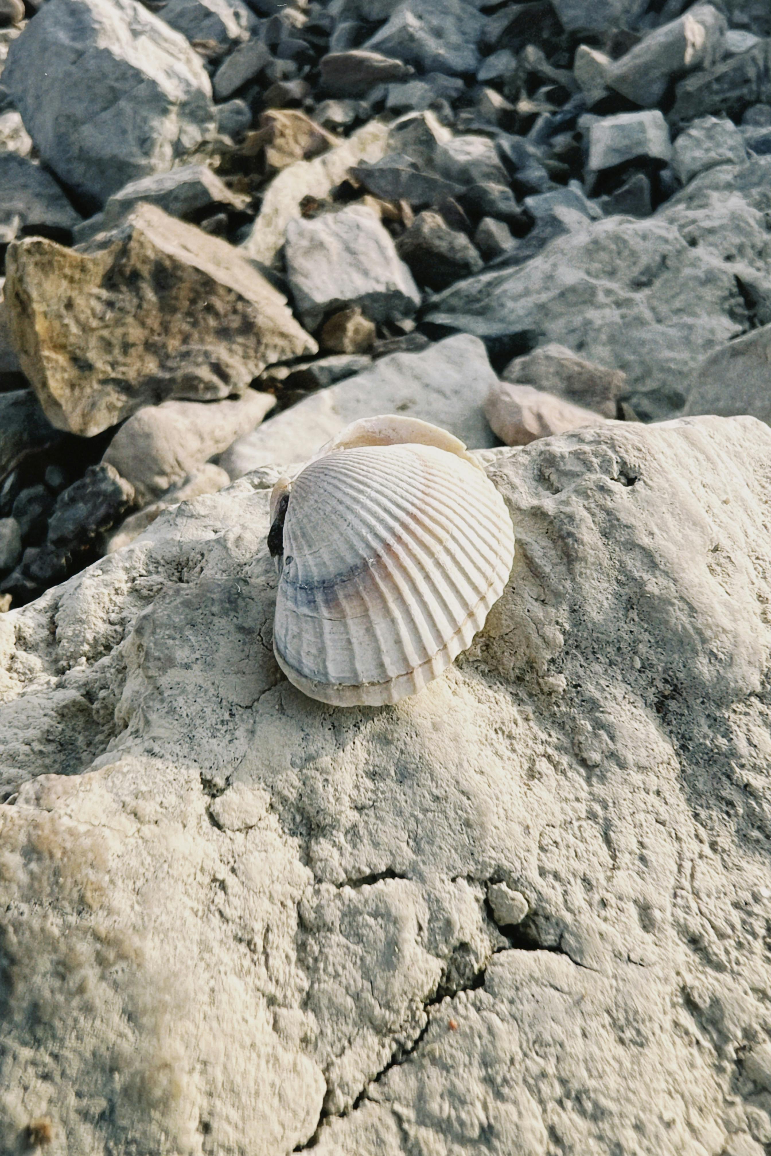 Imvu Textures Photos, Download The BEST Free Imvu Textures Stock Photos ...