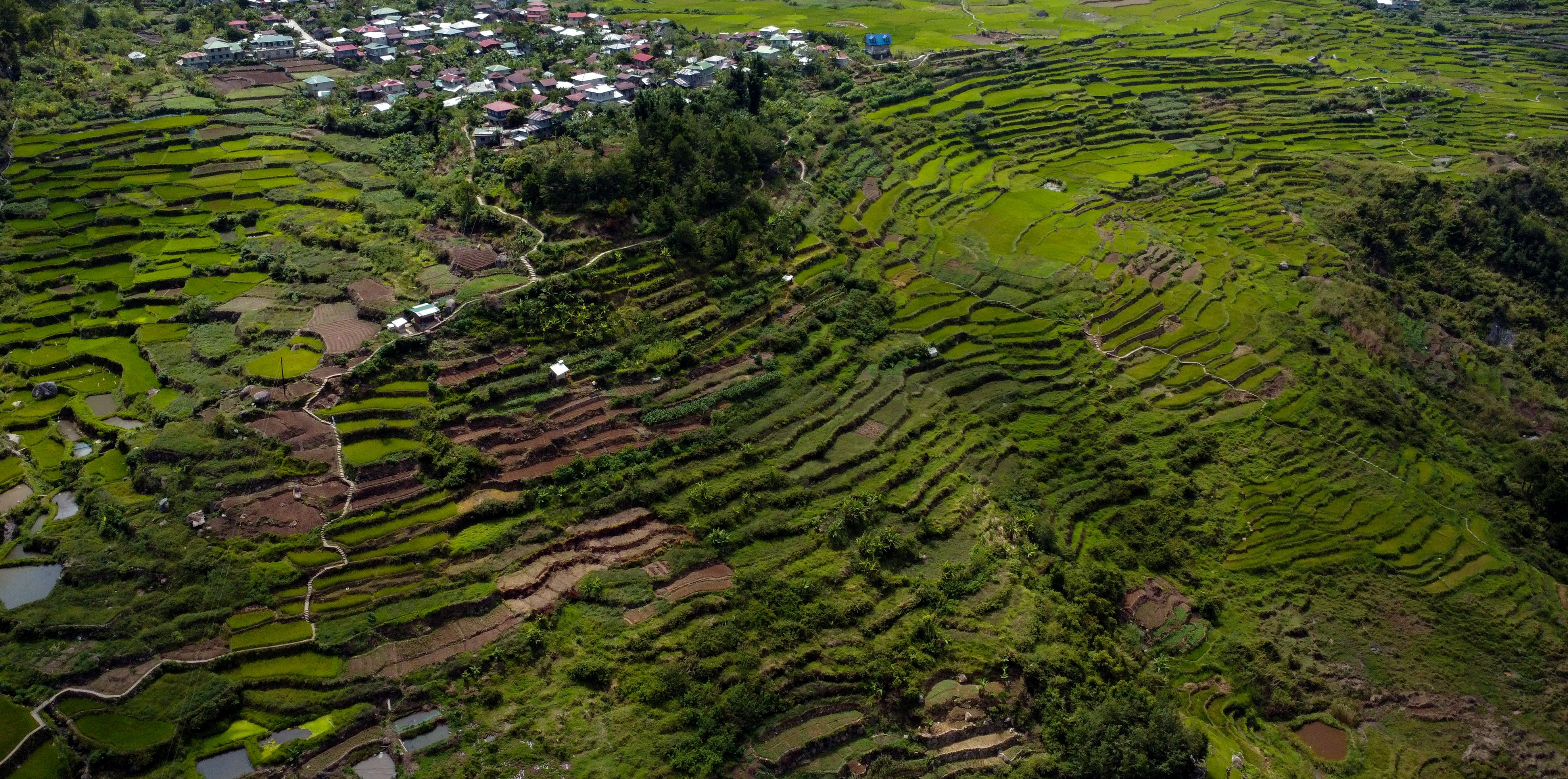 Aerial View of Rice Terraces in Sagada, Philippines · Free Stock Photo