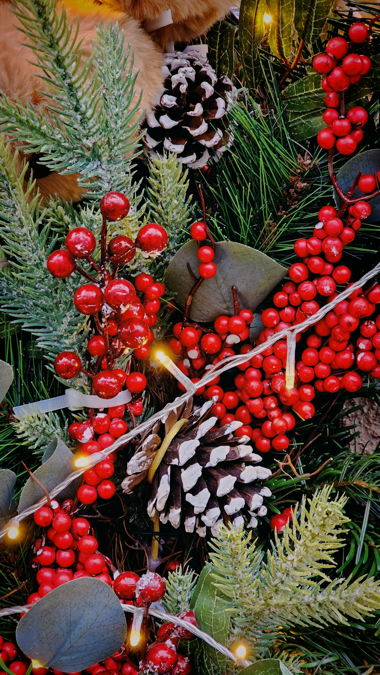 Christmas+And Photos, Download The BEST Free Christmas+And Stock Photos ...