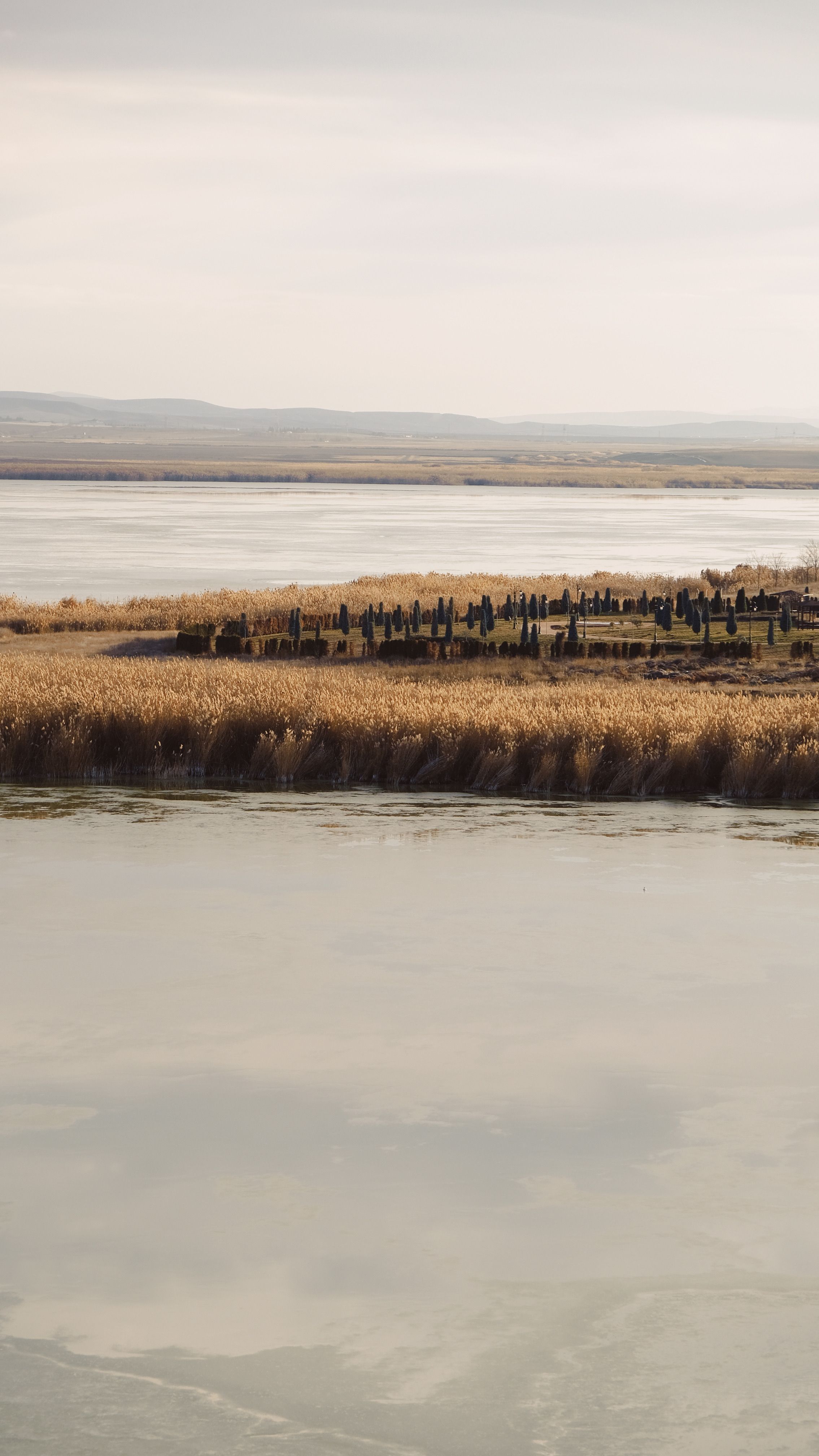 Serene Lakeside Landscape with Grassy Shoreline · Free Stock Photo