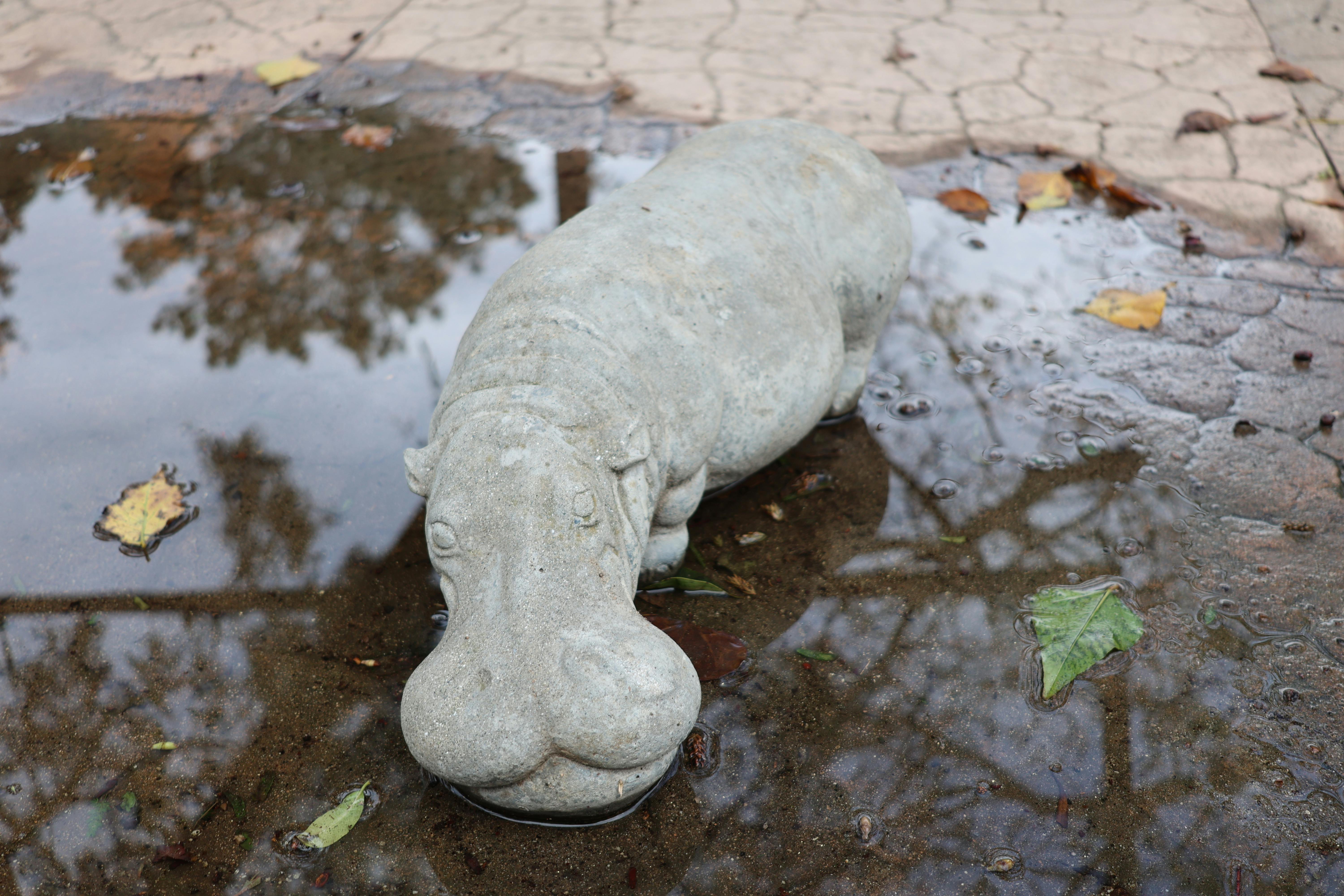 Dtf Design Photos, Download The BEST Free Dtf Design Stock Photos & HD ...