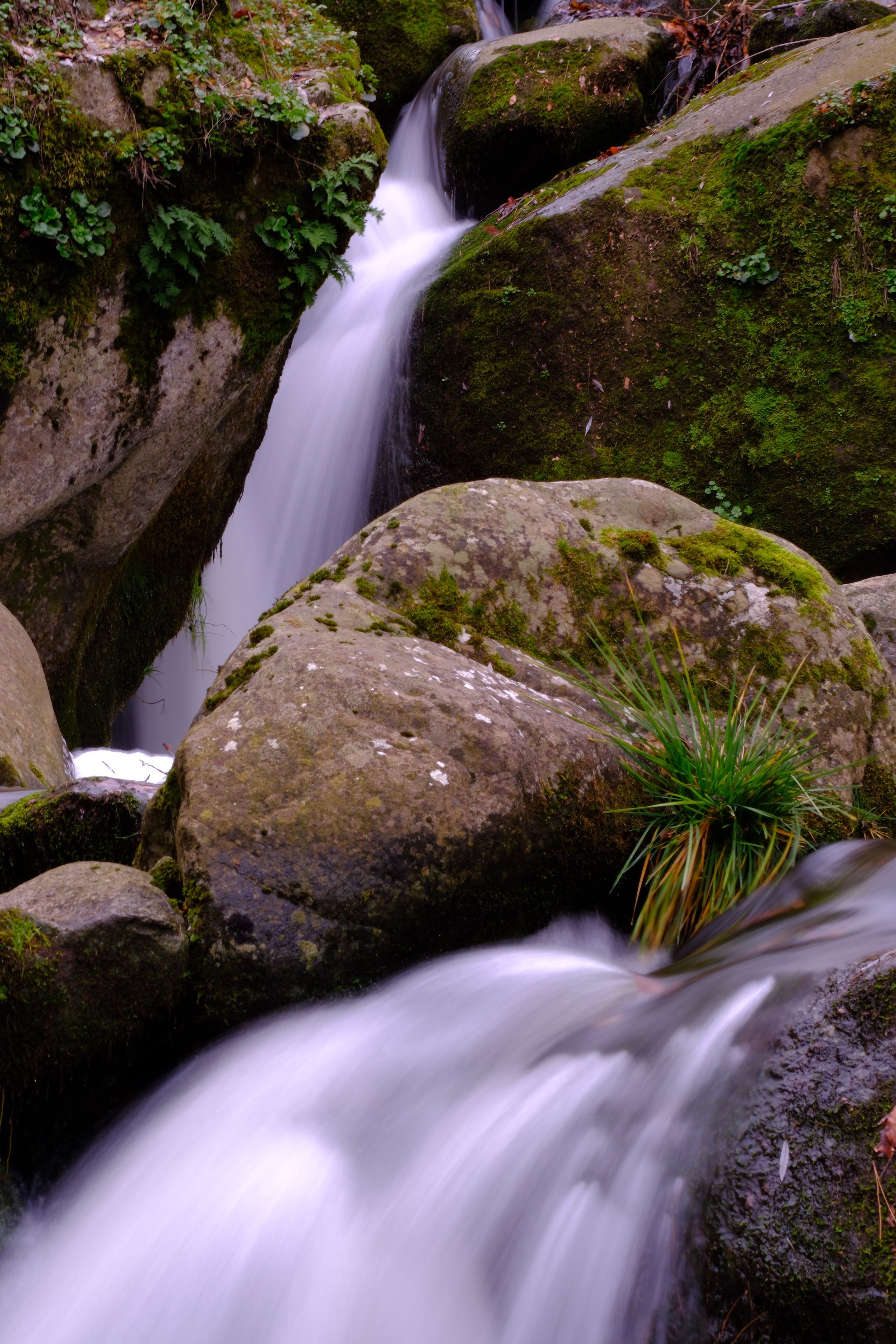Clean Water Photos, Download The BEST Free Clean Water Stock Photos ...