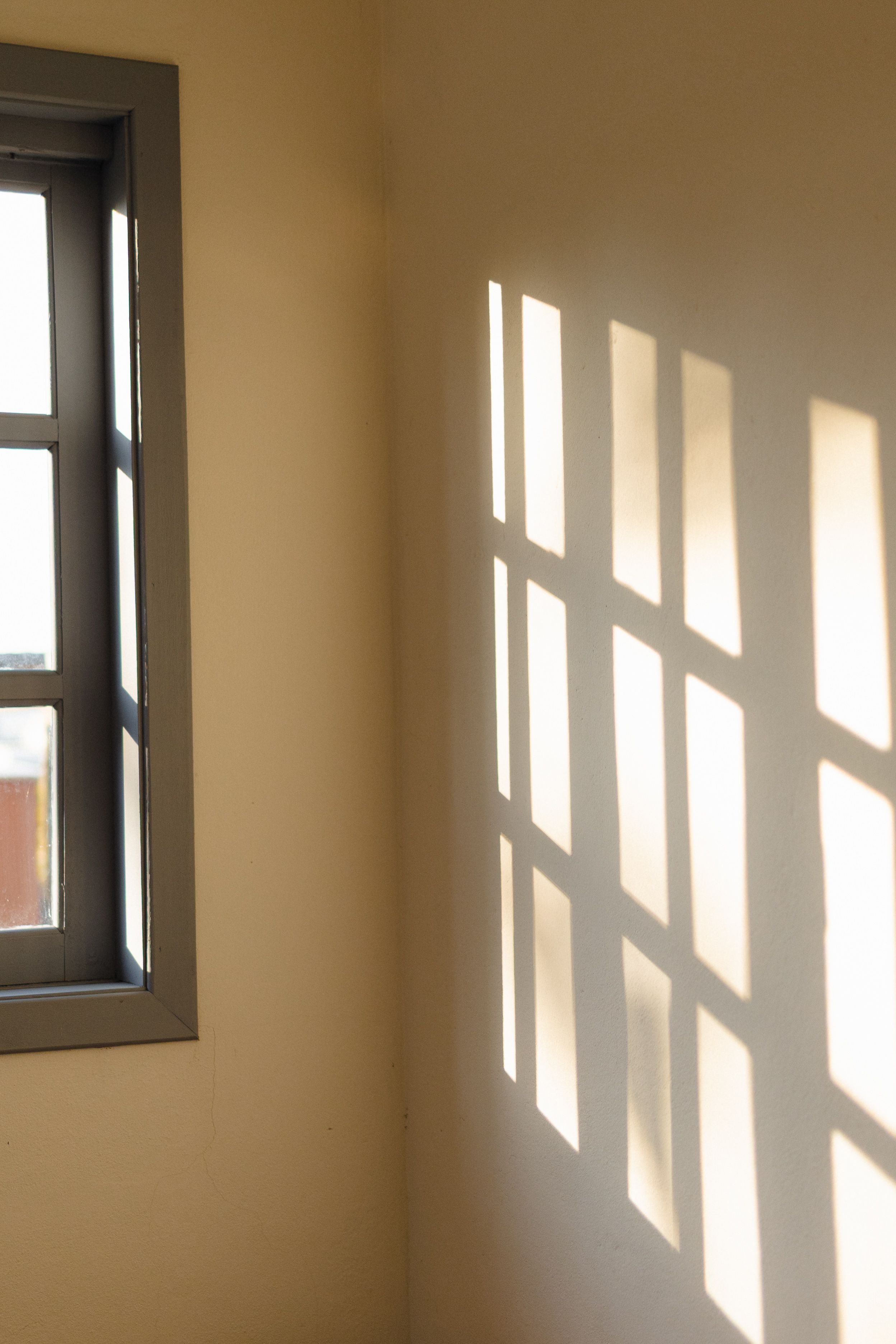 Sunlight Casting Window Shadows on Wall Indoors · Free Stock Photo