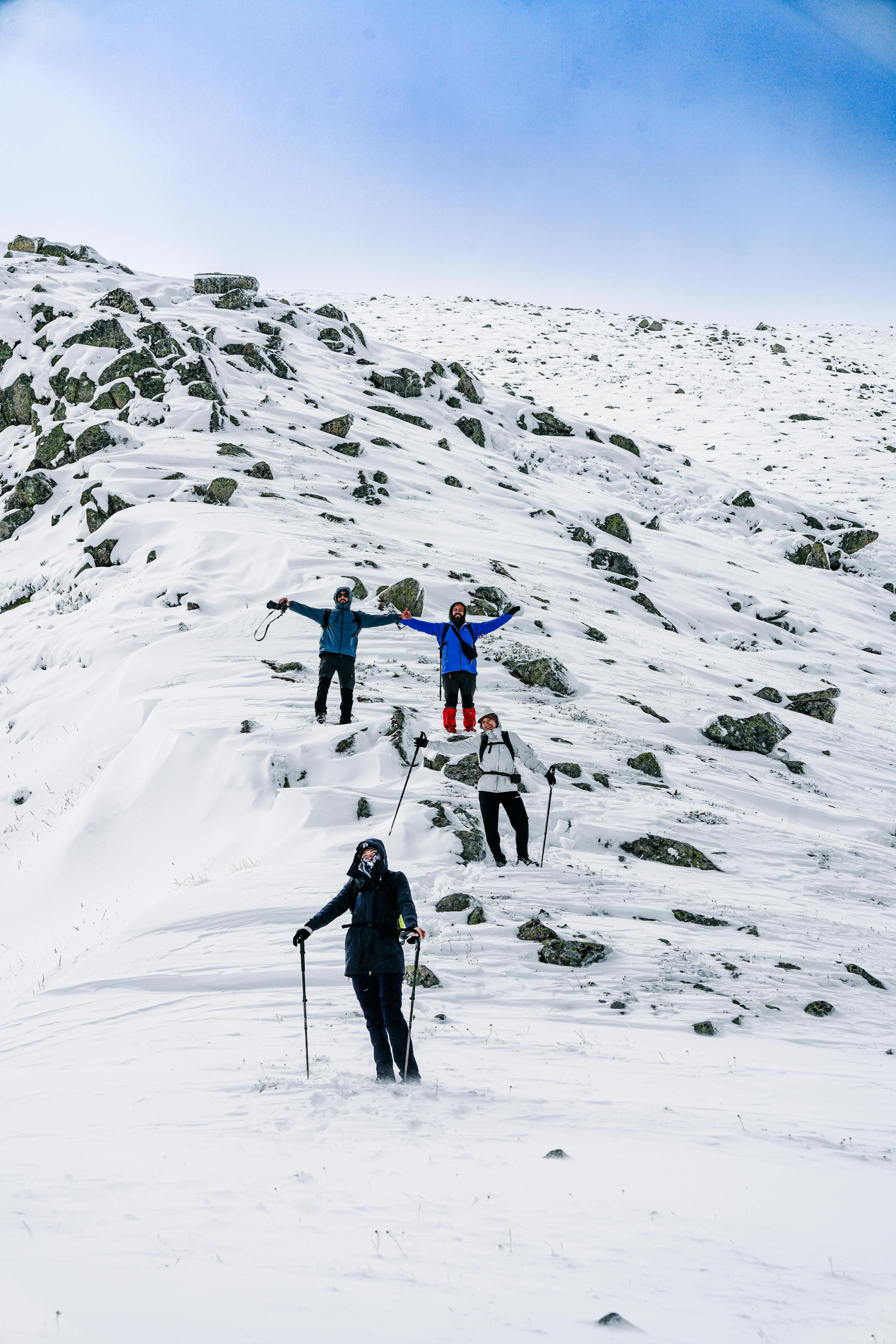 Dinner Fun Activity Photos, Download The BEST Free Dinner Fun Activity ...