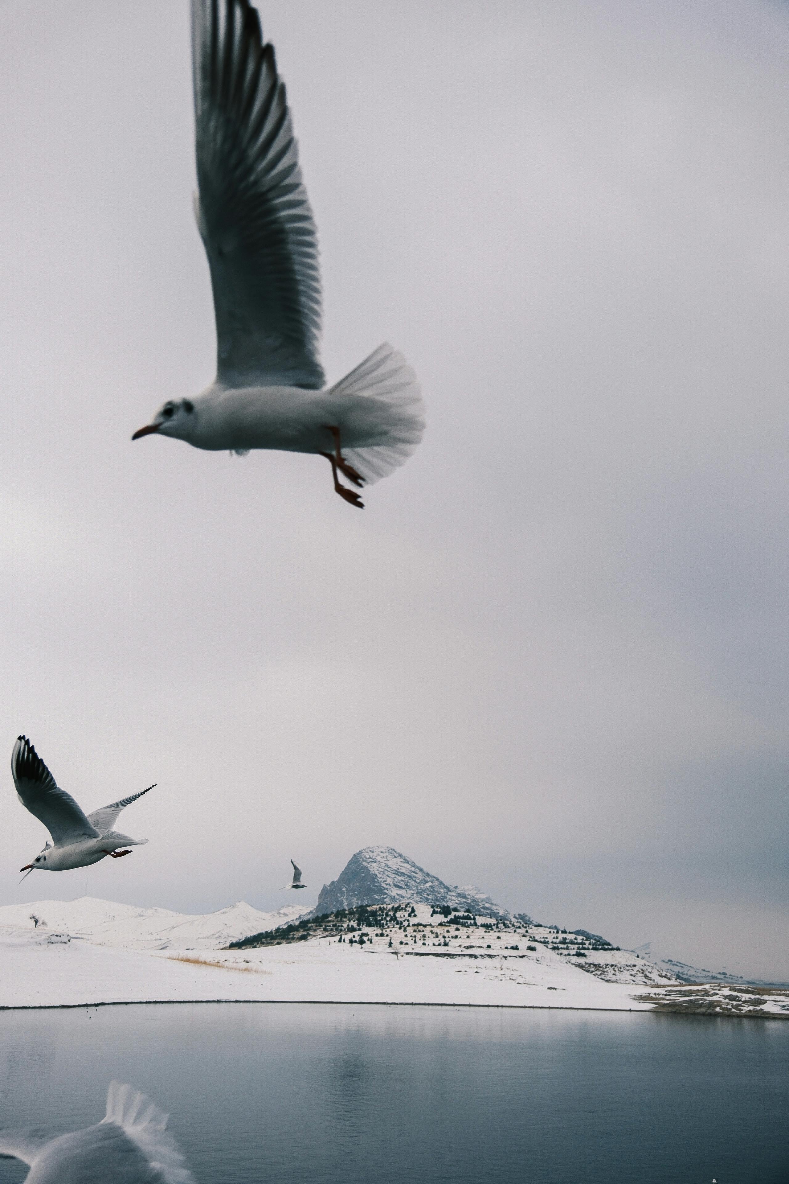 Dreamstime+Free+Images+Without+Watermark Photos, Download The BEST Free ...