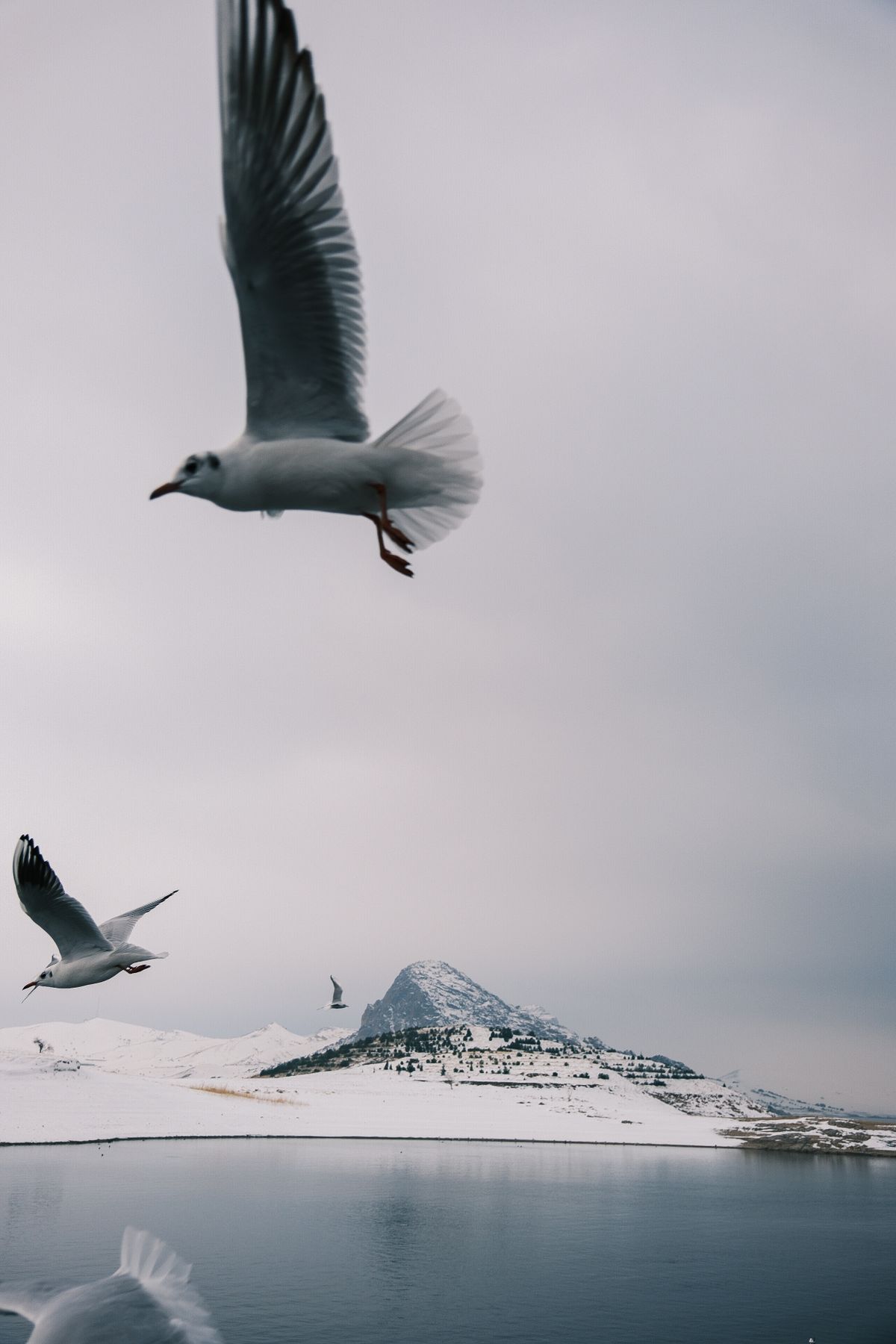 Free Pix Photos, Download The BEST Free Free Pix Stock Photos & HD Images