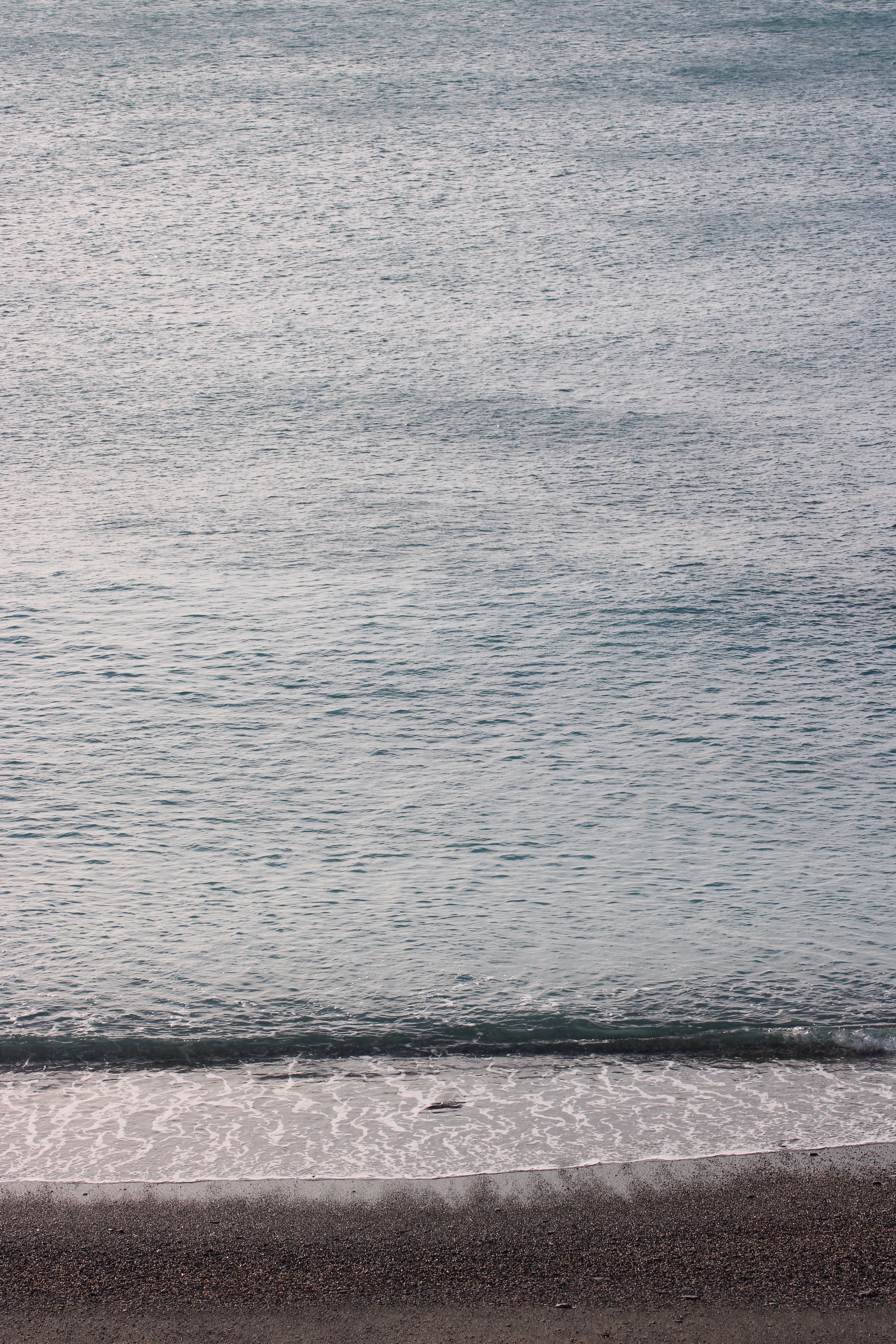 Calm Winter Beach Scene with Gentle Waves · Free Stock Photo