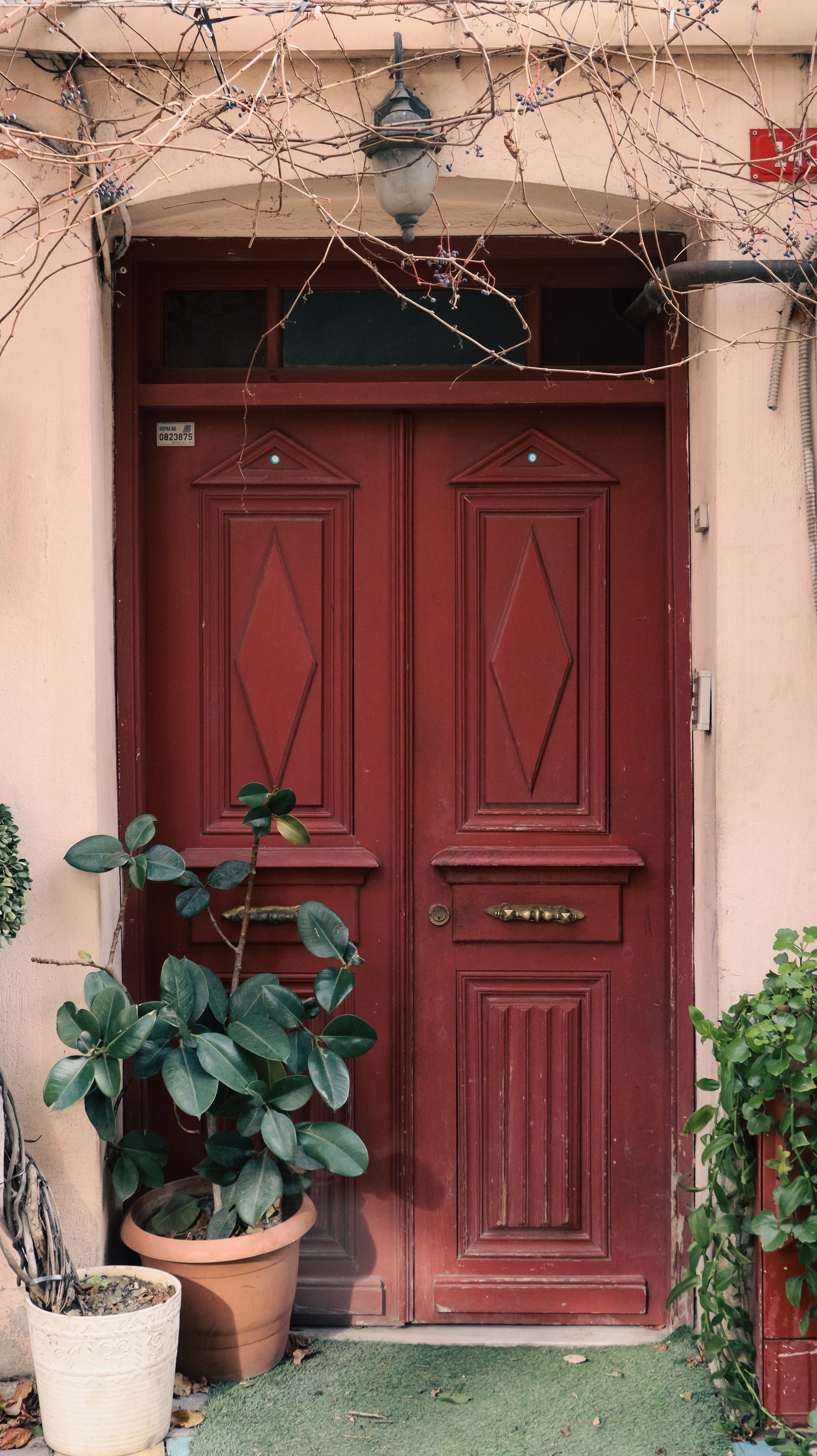 Charming Red Door with Greenery · Free Stock Photo