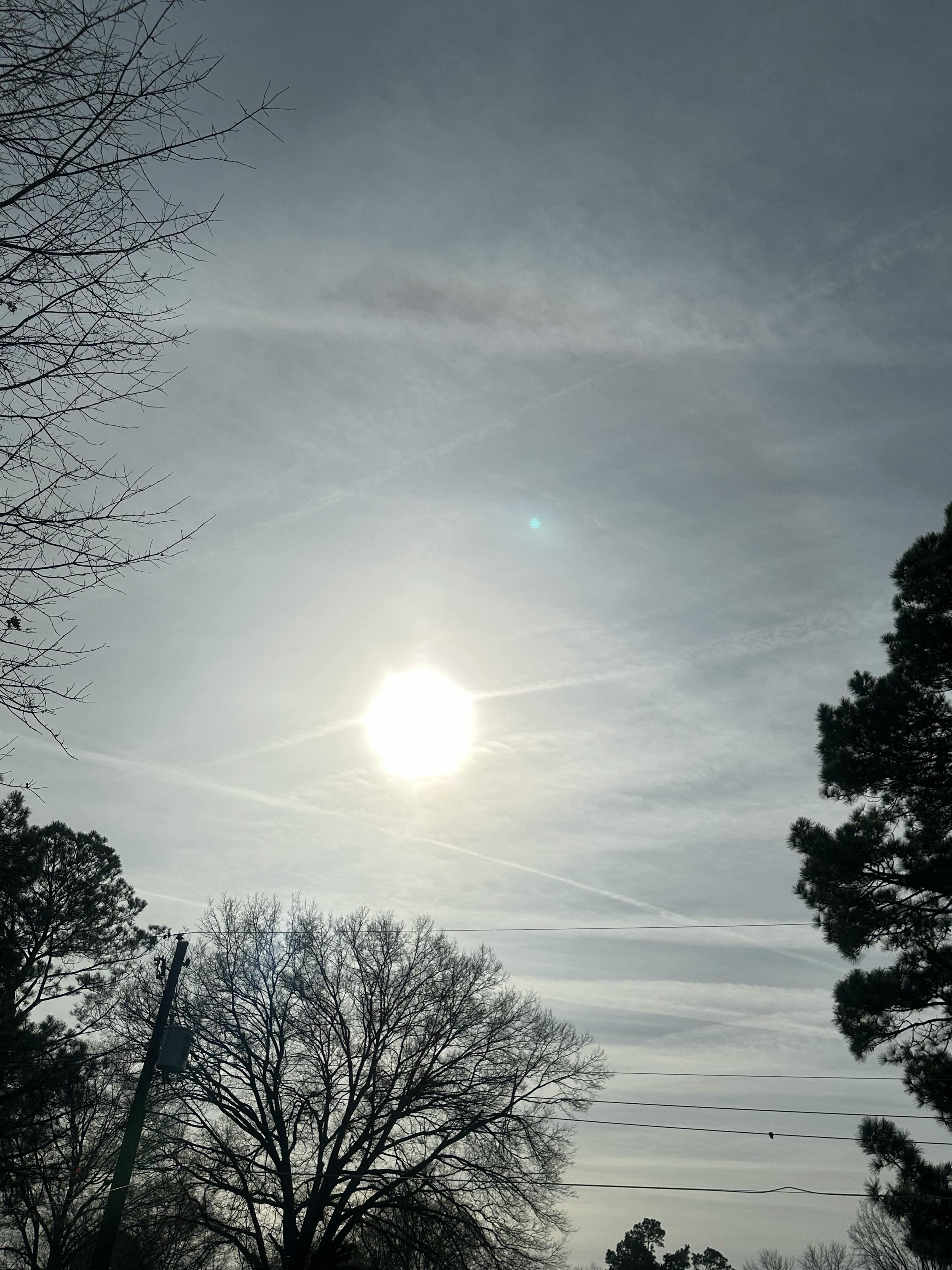 Youronda Gentry - 摄影