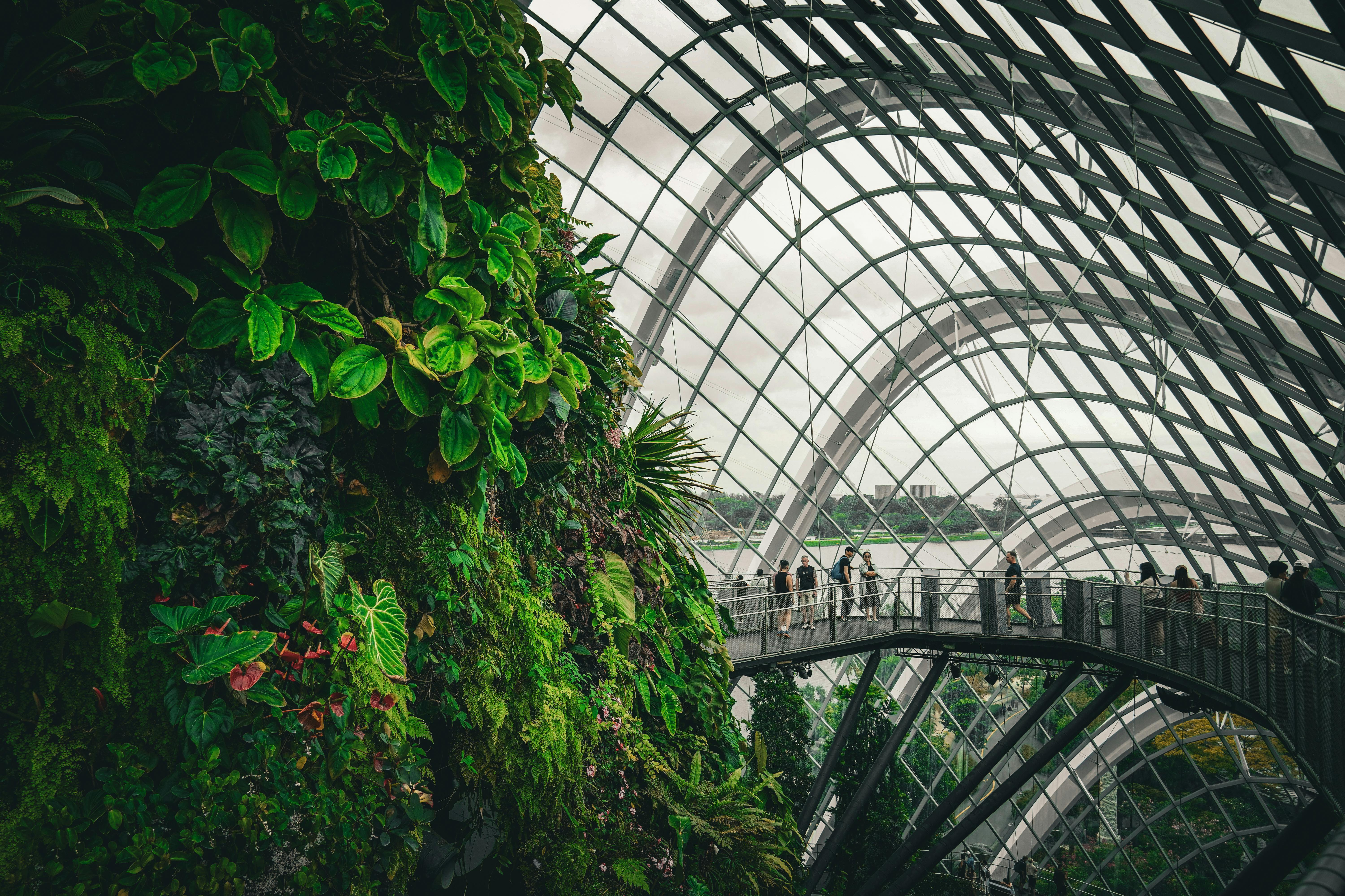 700.000+ Caning+womens+by+women Bilder und Fotos · Kostenlos Downloaden ...