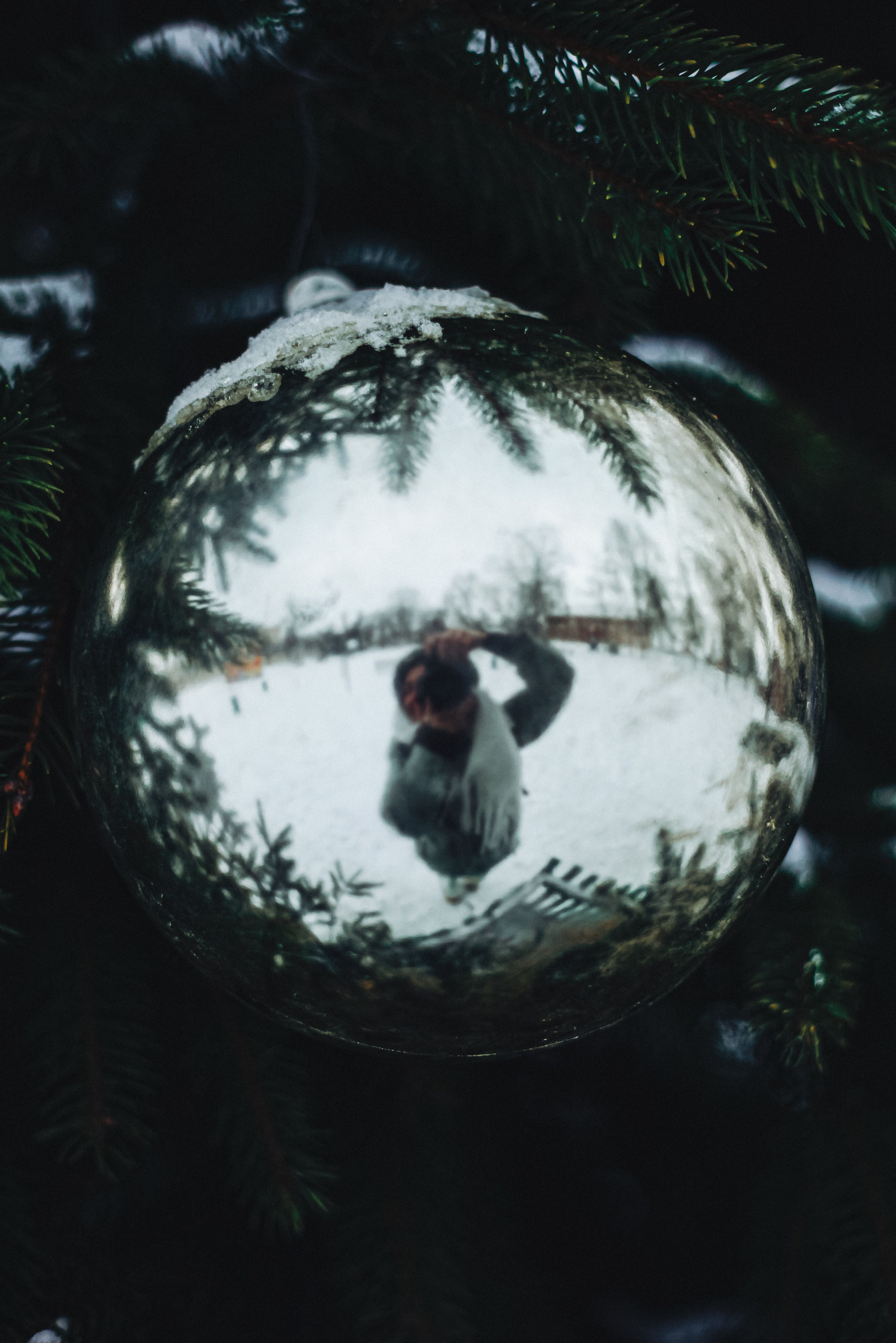 Christmas Pappa Photos, Download The BEST Free Christmas Pappa Stock ...