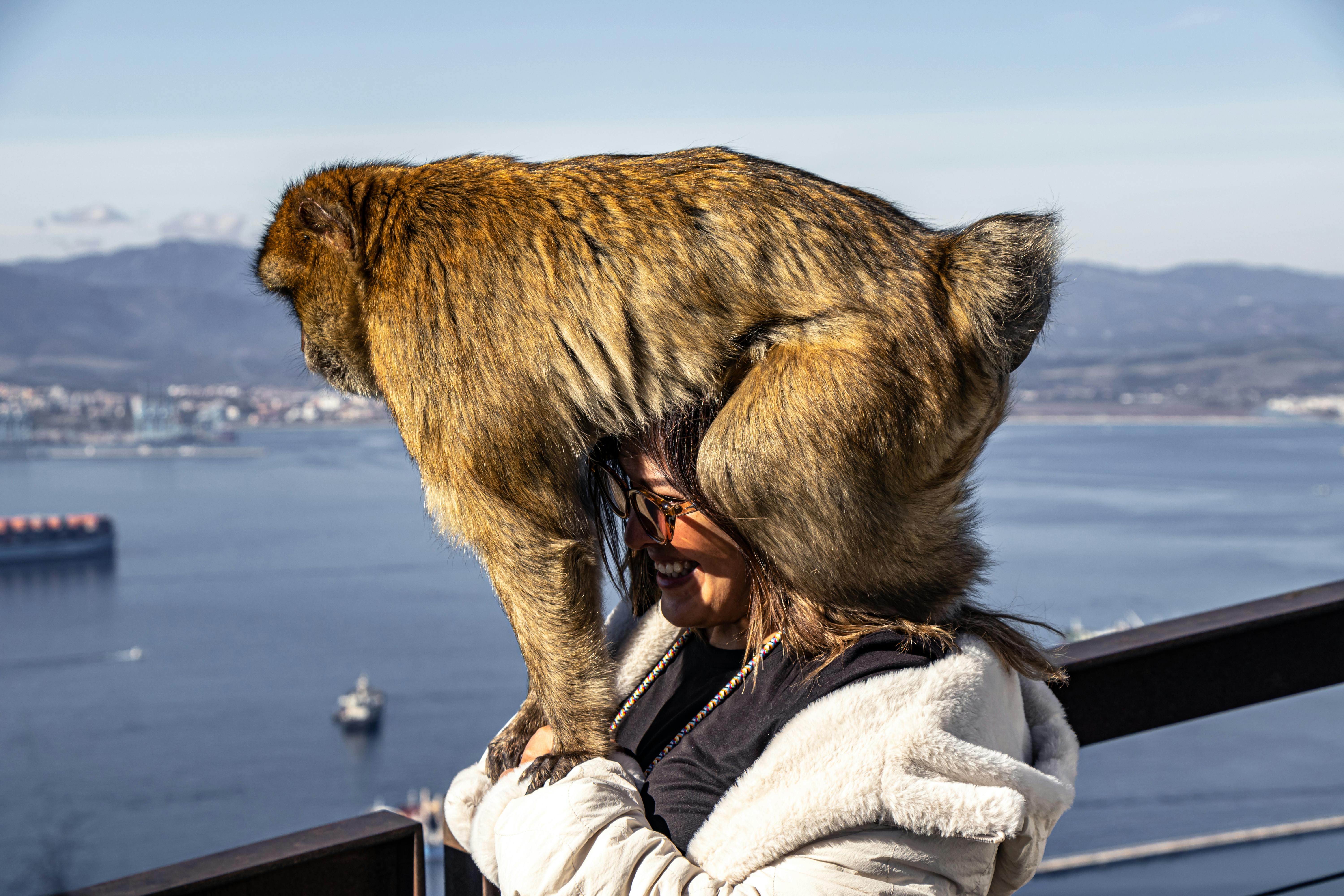 Stickman Fight Photos, Download The BEST Free Stickman Fight Stock ...