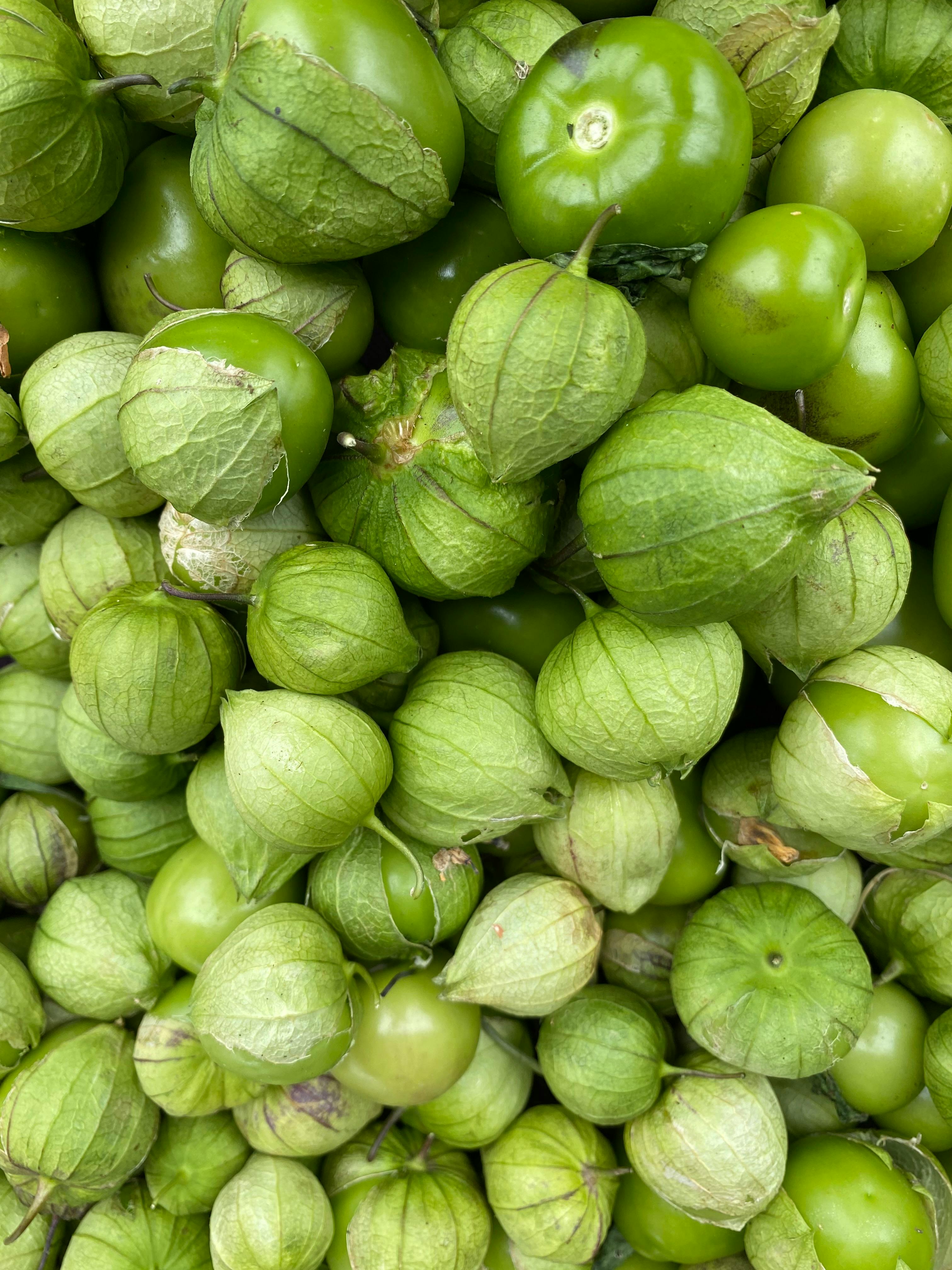 Fresh Green Tomatillos in Market Display · Free Stock Photo