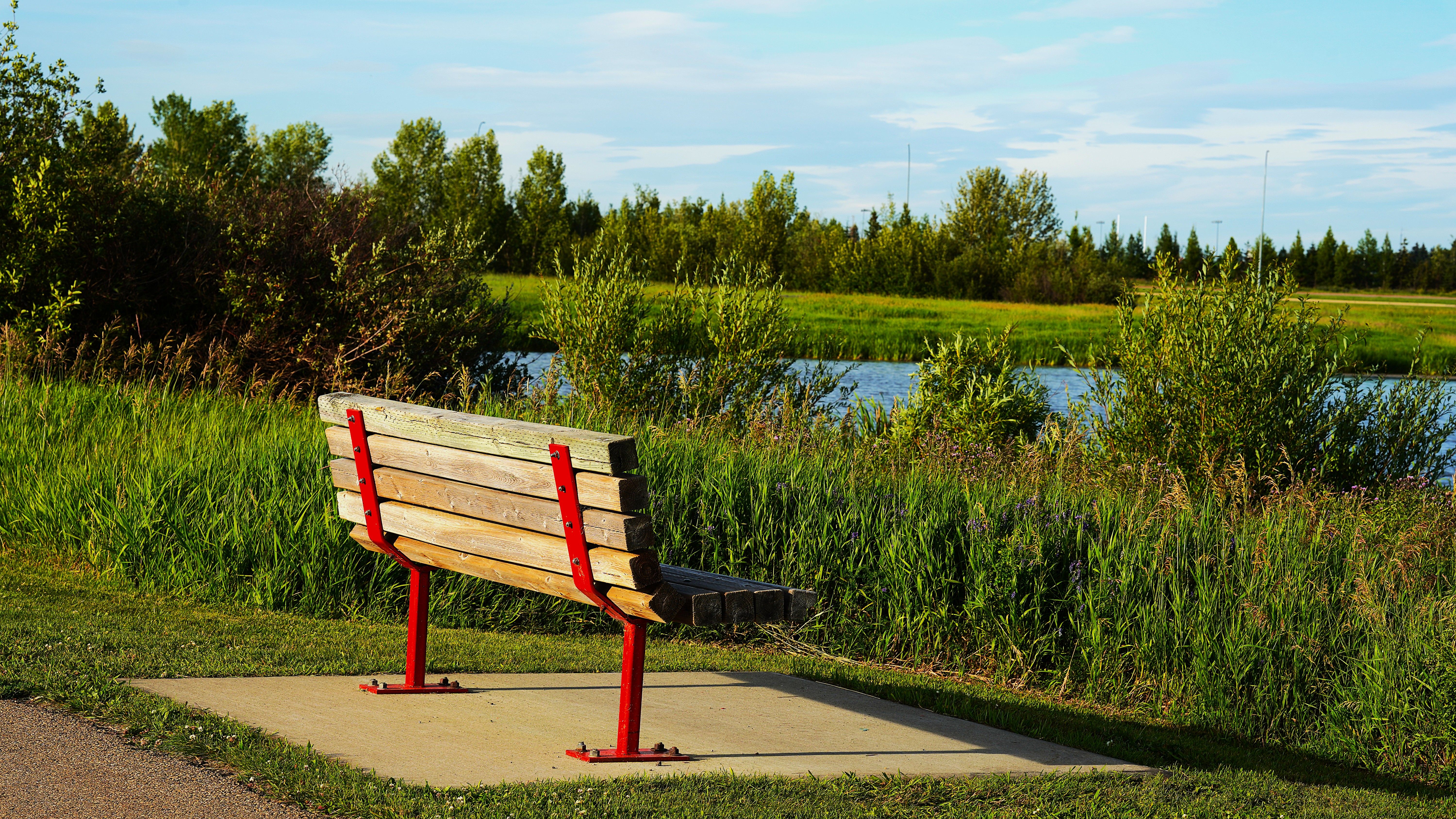 Scenic Park Bench in Canadian Park · Free Stock Photo