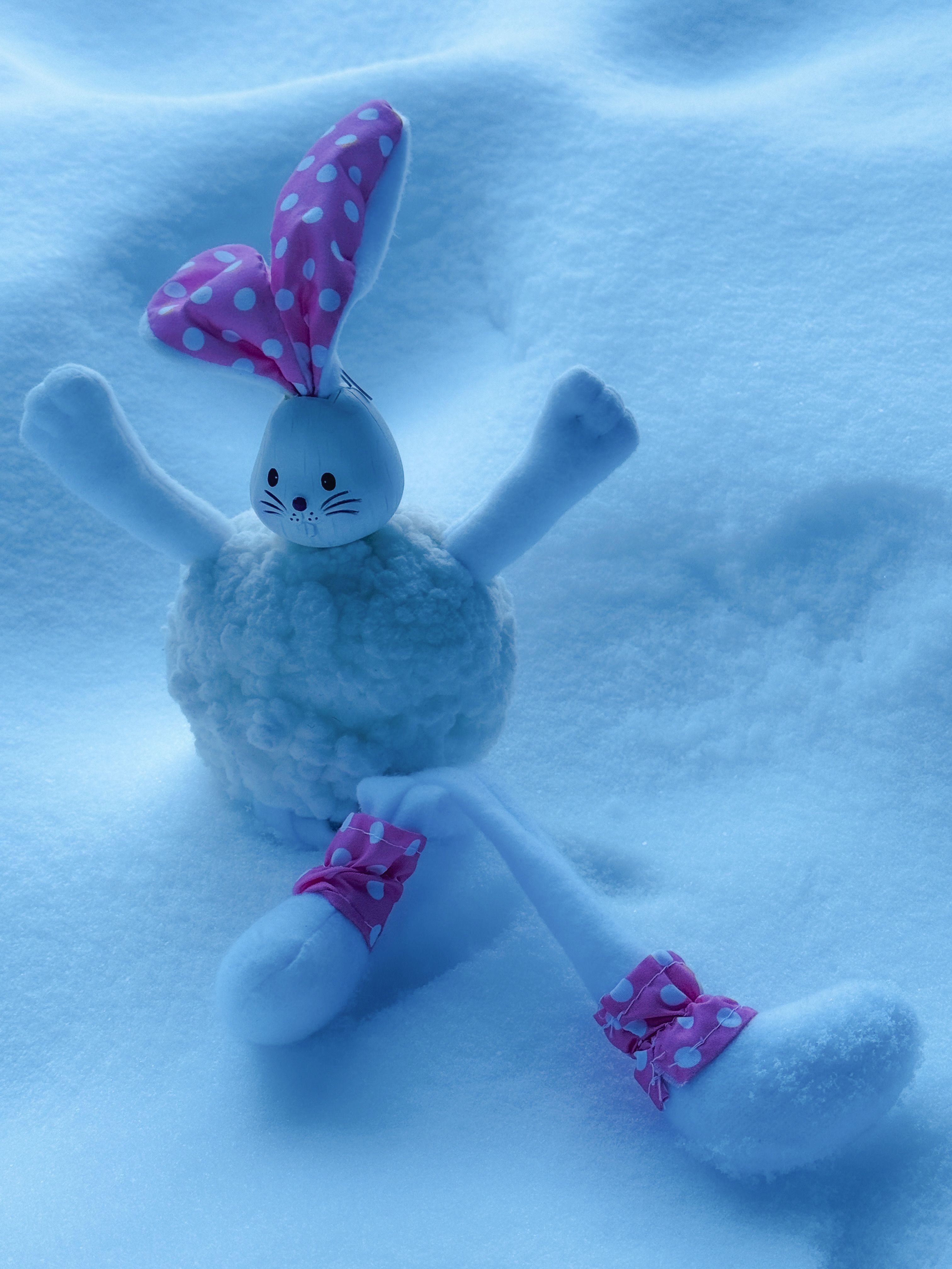 Snow Bunny Photos, Download The BEST Free Snow Bunny Stock Photos & HD ...