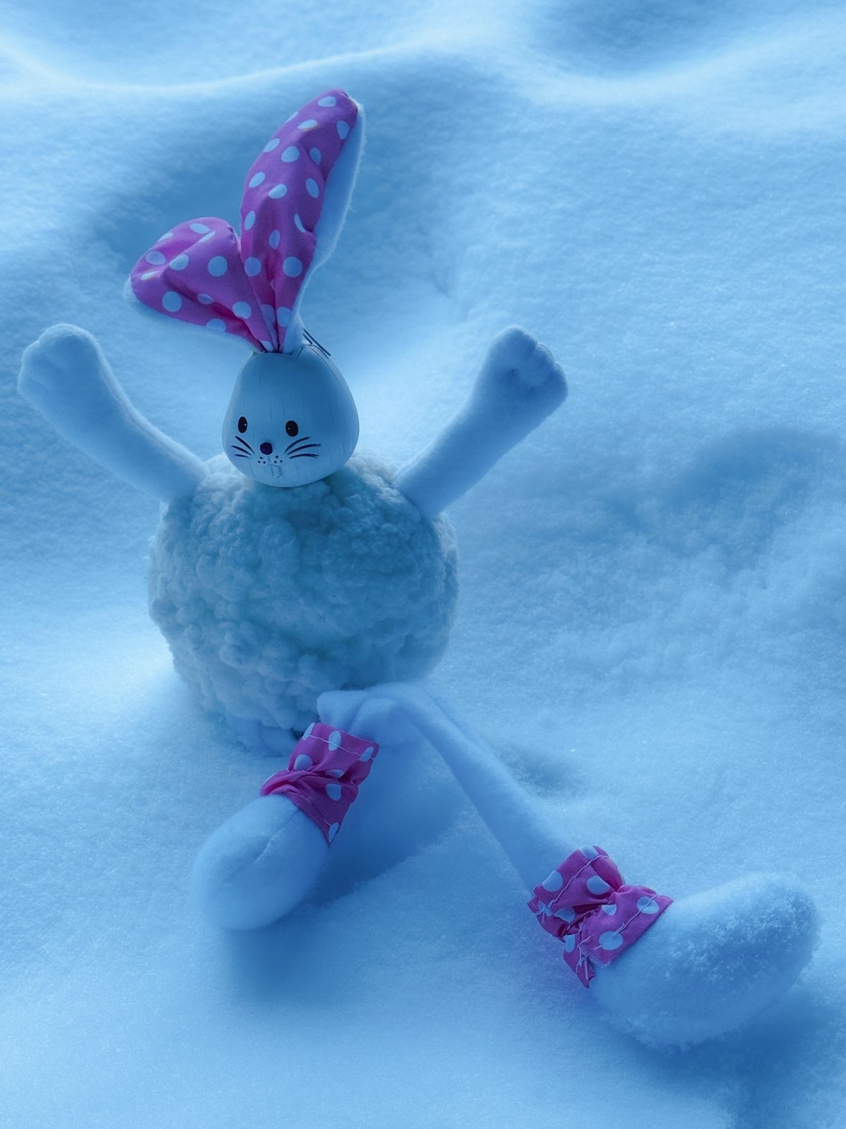 Snow Bunny Photos, Download The BEST Free Snow Bunny Stock Photos & HD ...