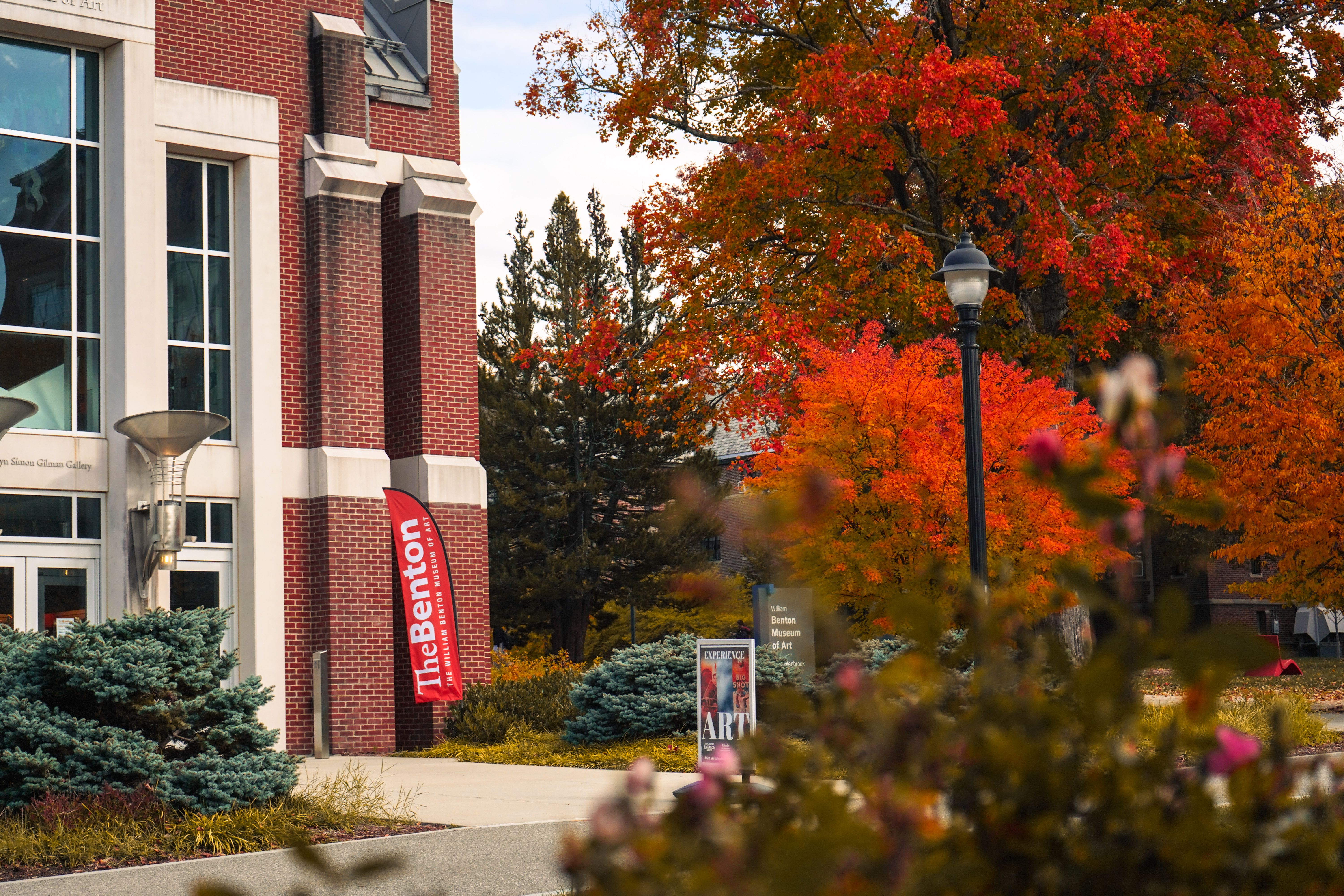 College Images Photos, Download The BEST Free College Images Stock ...