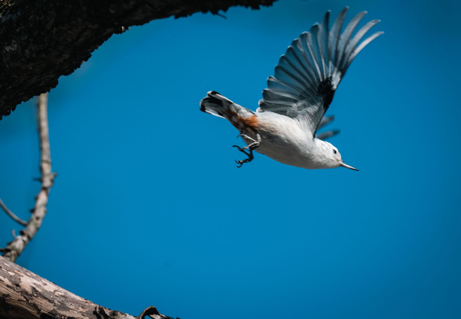 Free Pix Photos, Download The BEST Free Free Pix Stock Photos & HD Images
