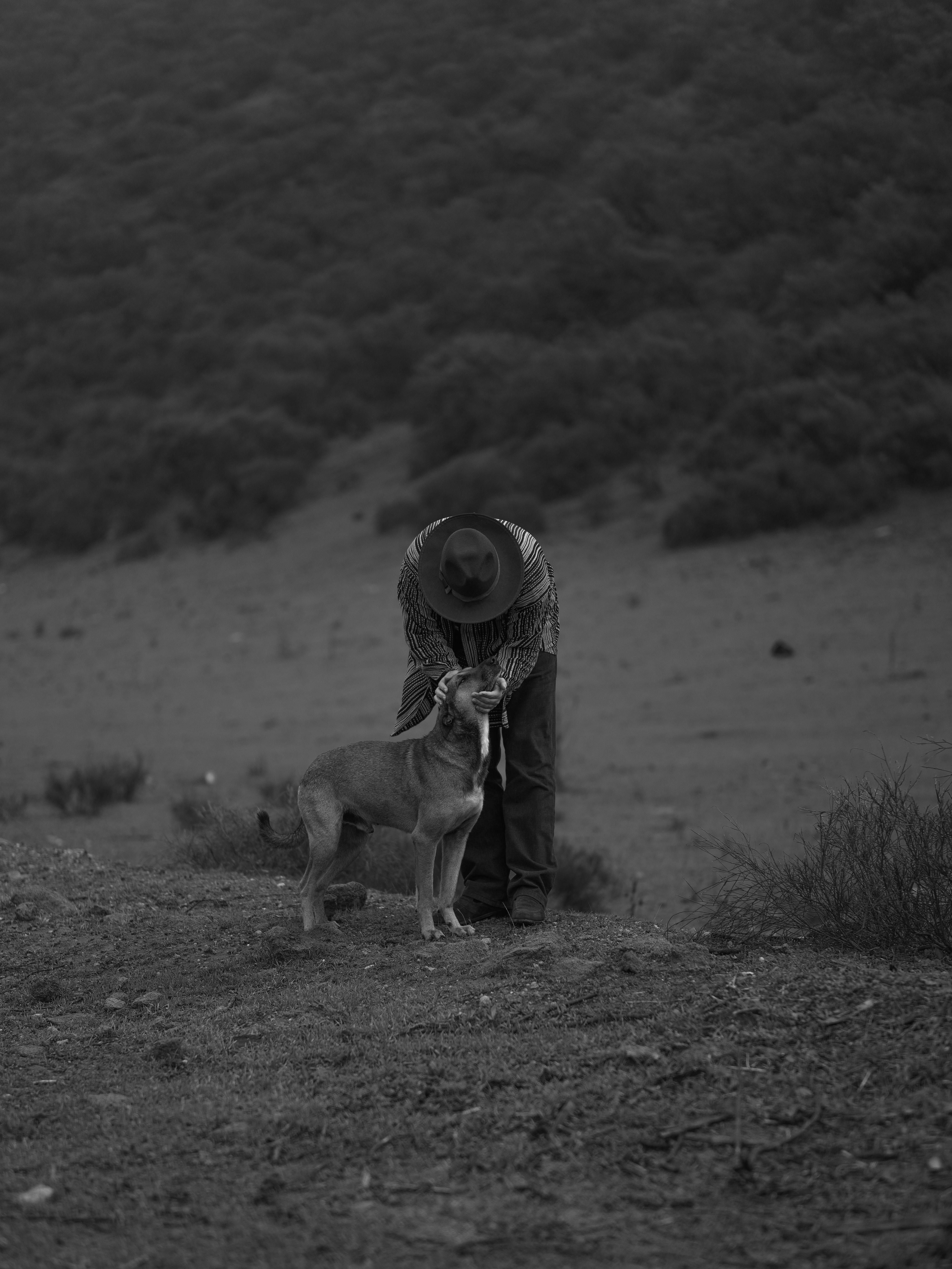 100.000+ beste Магазин Stil foto's · 100% gratis downloaden · Pexels ...