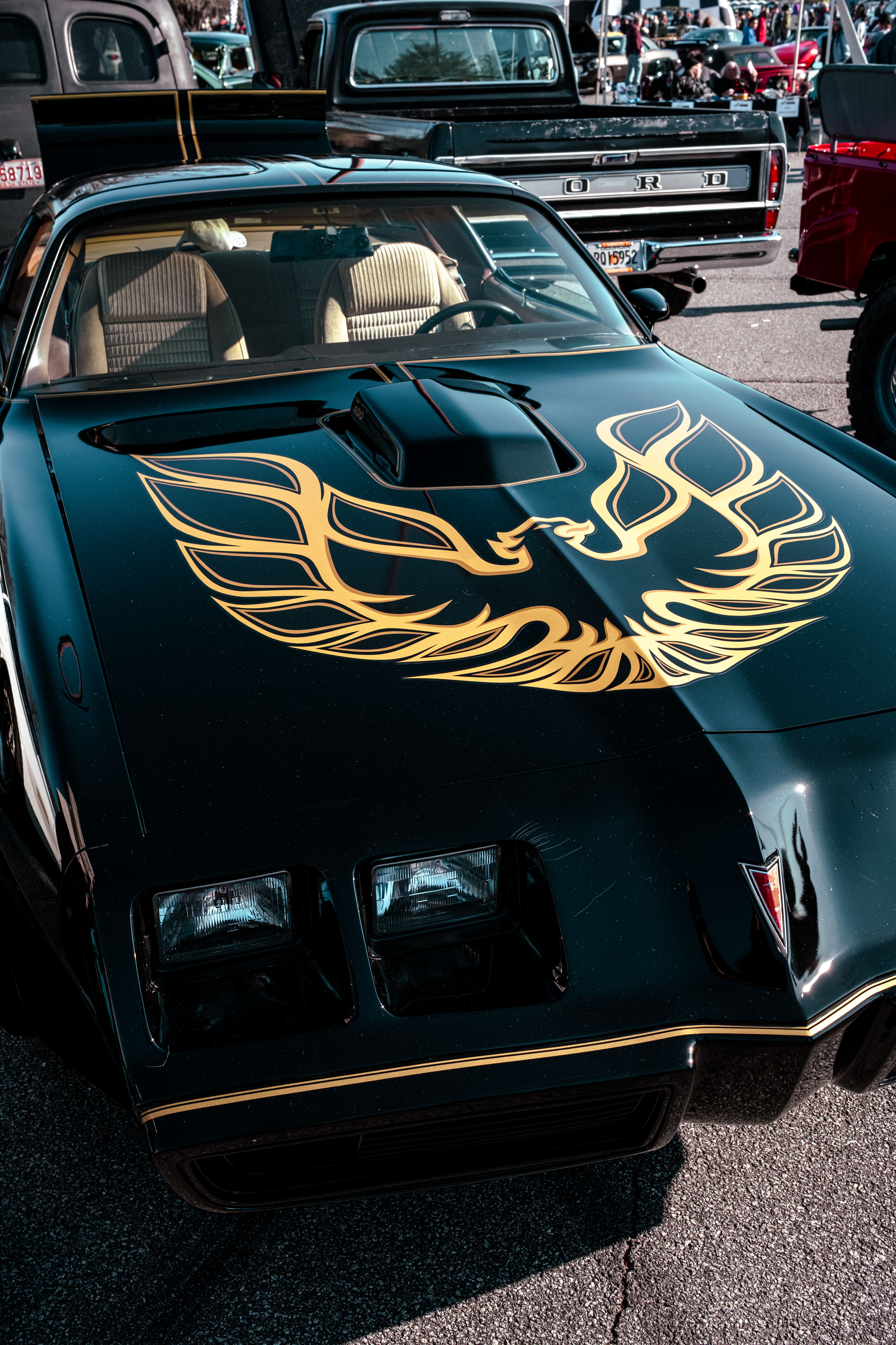 Classic Pontiac Trans Am with Iconic Firebird Logo · Free Stock Photo