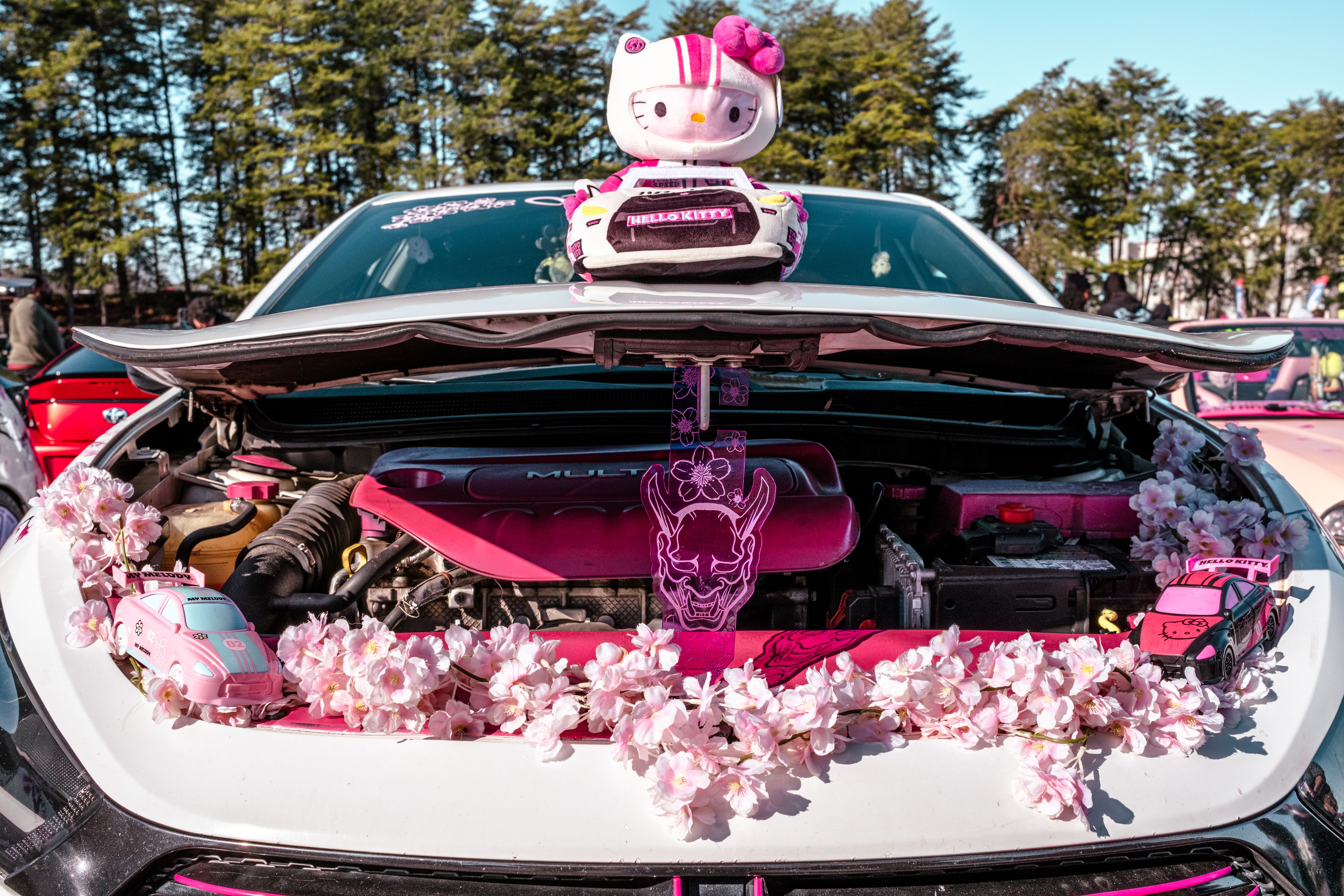 Pink+Pfps Photos, Download The BEST Free Pink+Pfps Stock Photos & HD Images
