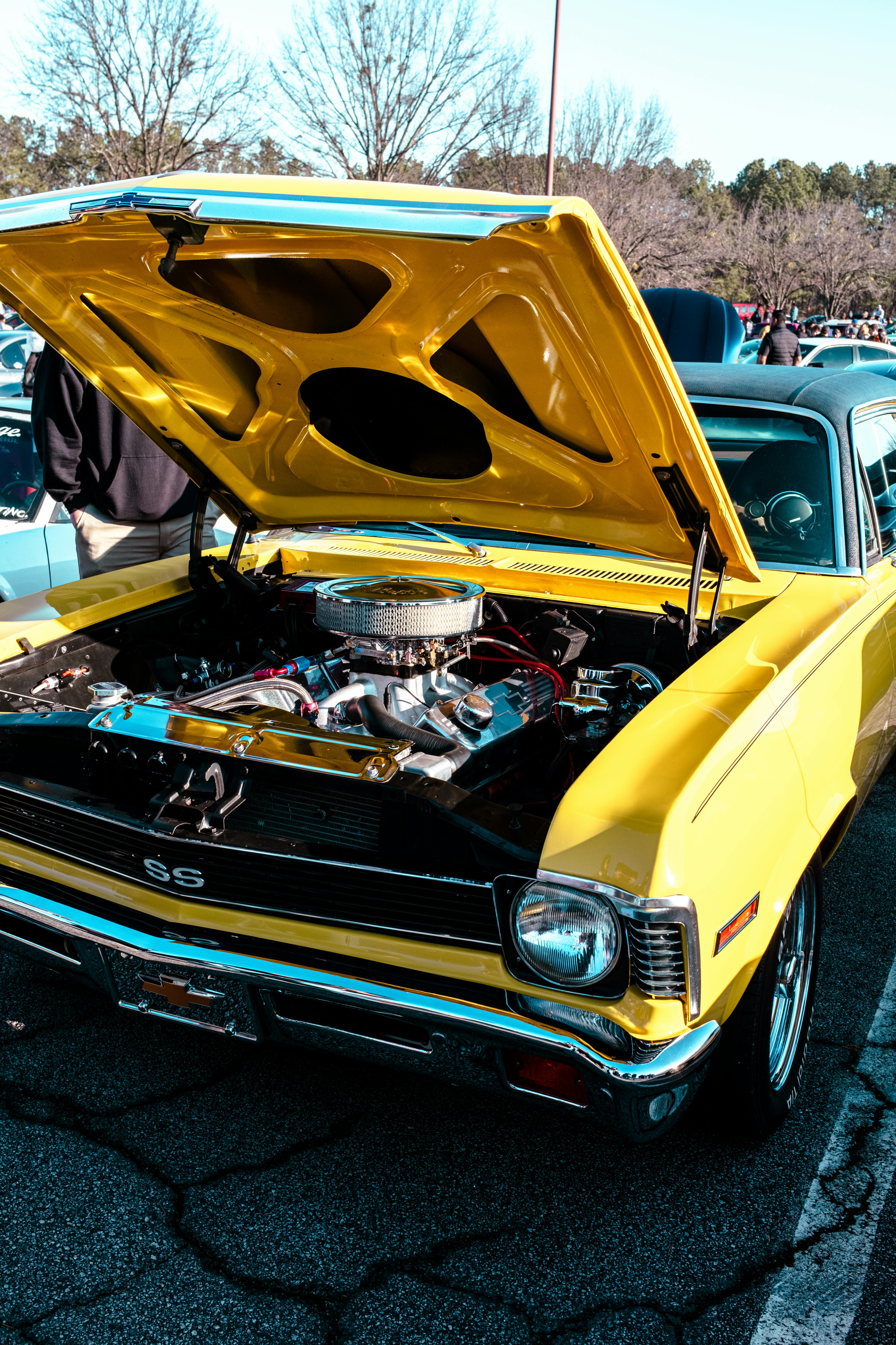 Peterbot+Wallpaper Photos, Download The BEST Free Peterbot+Wallpaper ...