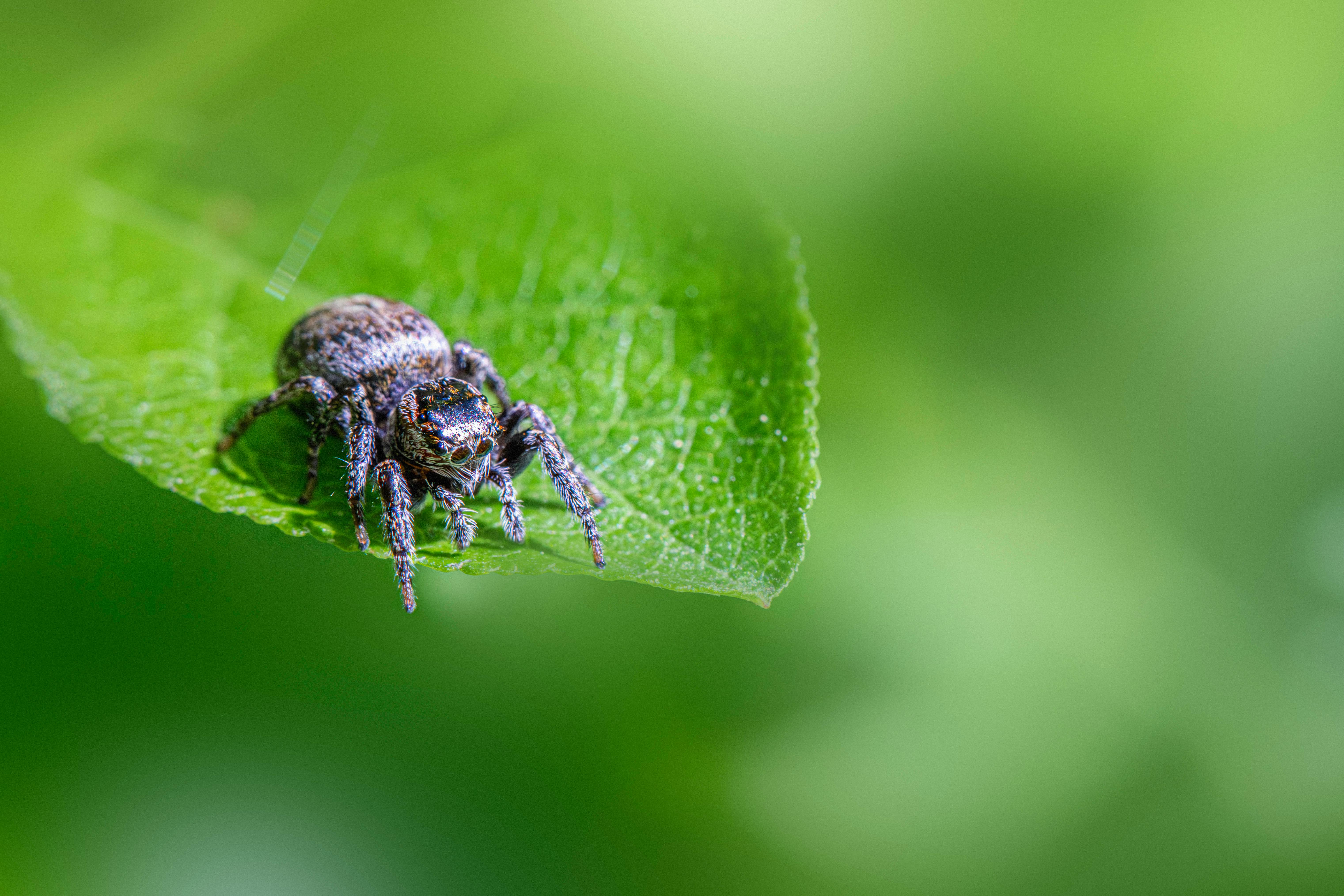 Small Dustbin Photos, Download The BEST Free Small Dustbin Stock Photos ...