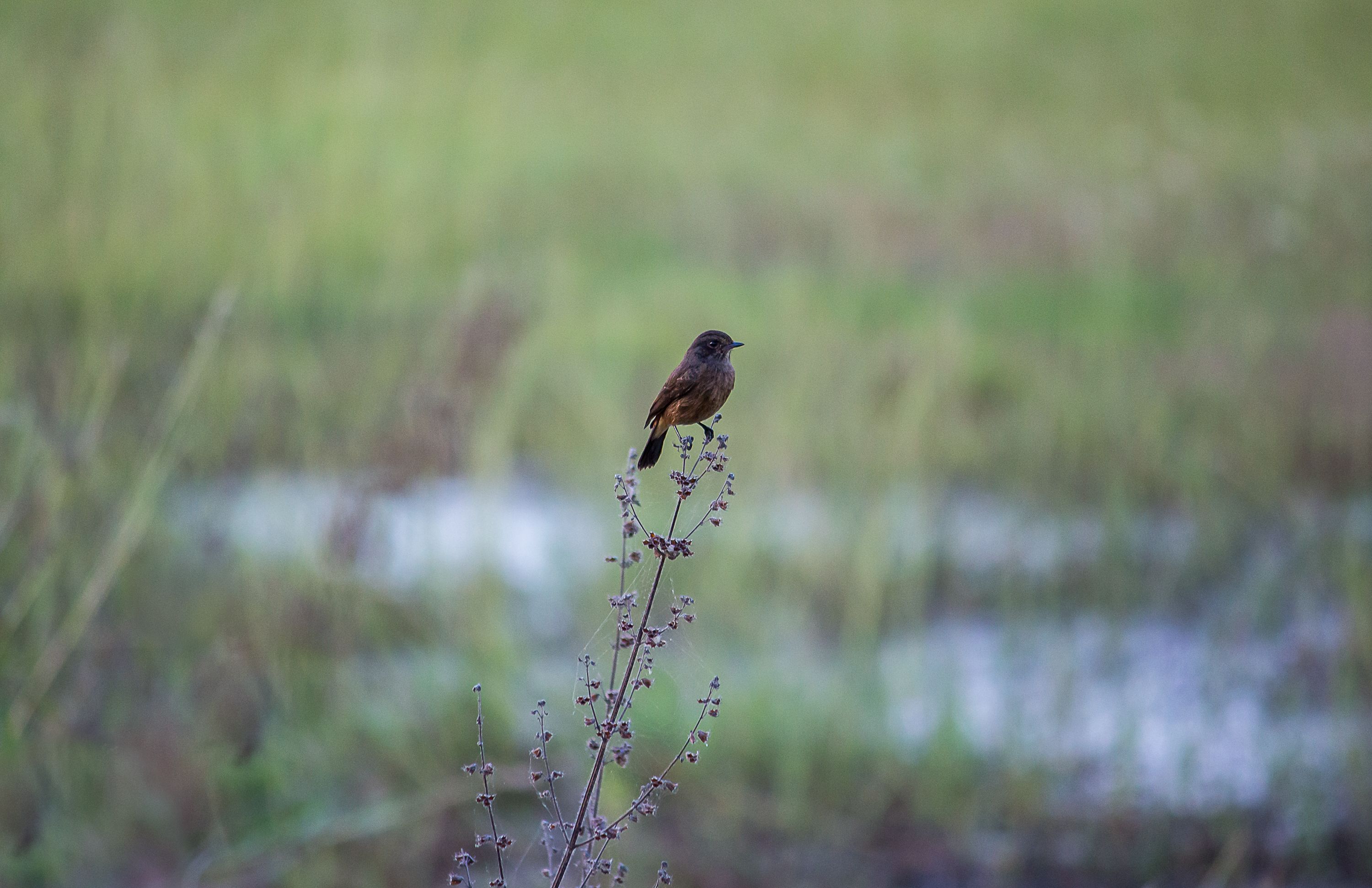 Ecological Photos, Download The BEST Free Ecological Stock Photos & HD ...