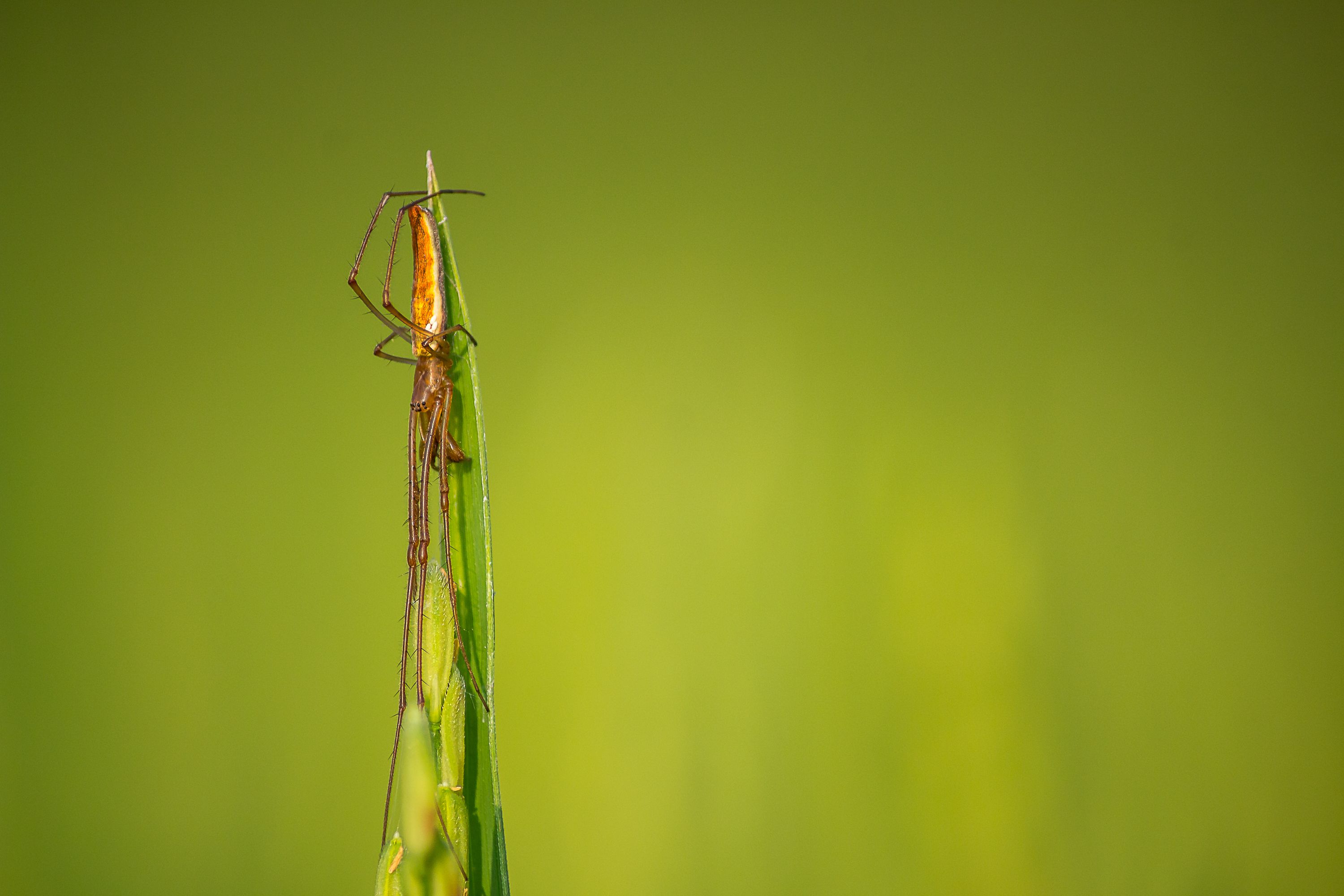 Single Photos, Download The BEST Free Single Stock Photos & HD Images