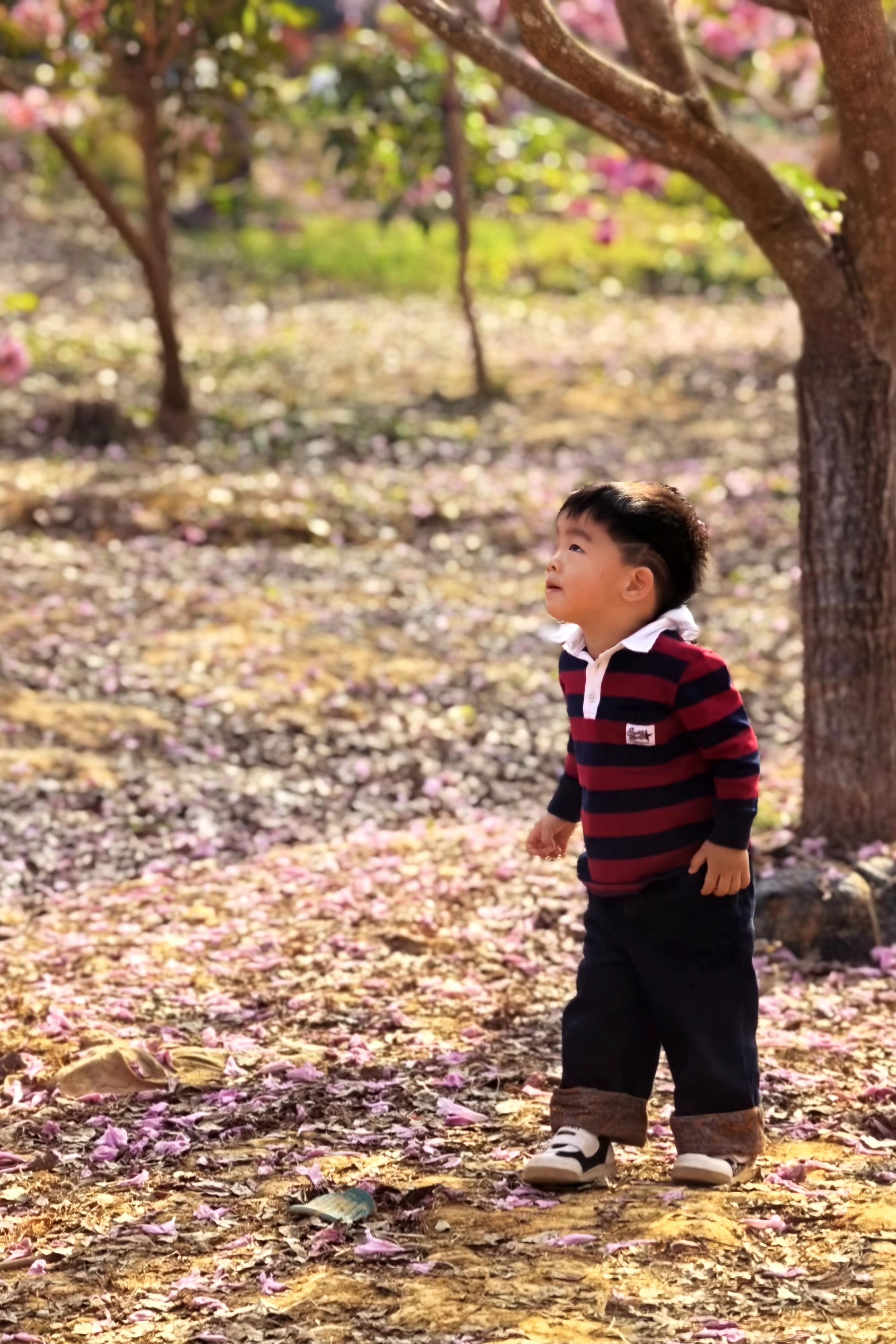 Kid Screaming Outside Photos, Download The BEST Free Kid Screaming ...