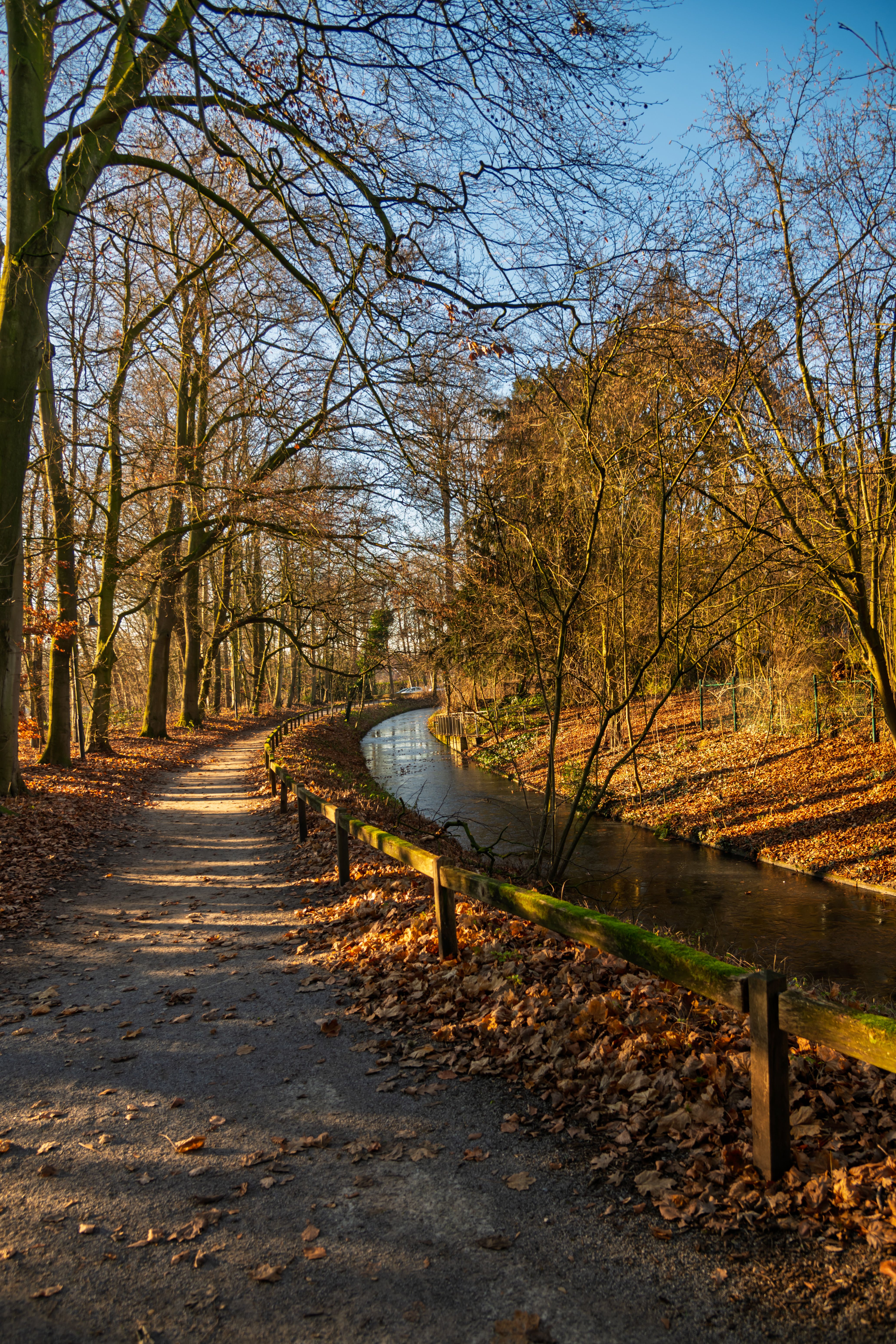 Serene Autumn Path Along a Tranquil Stream · Free Stock Photo