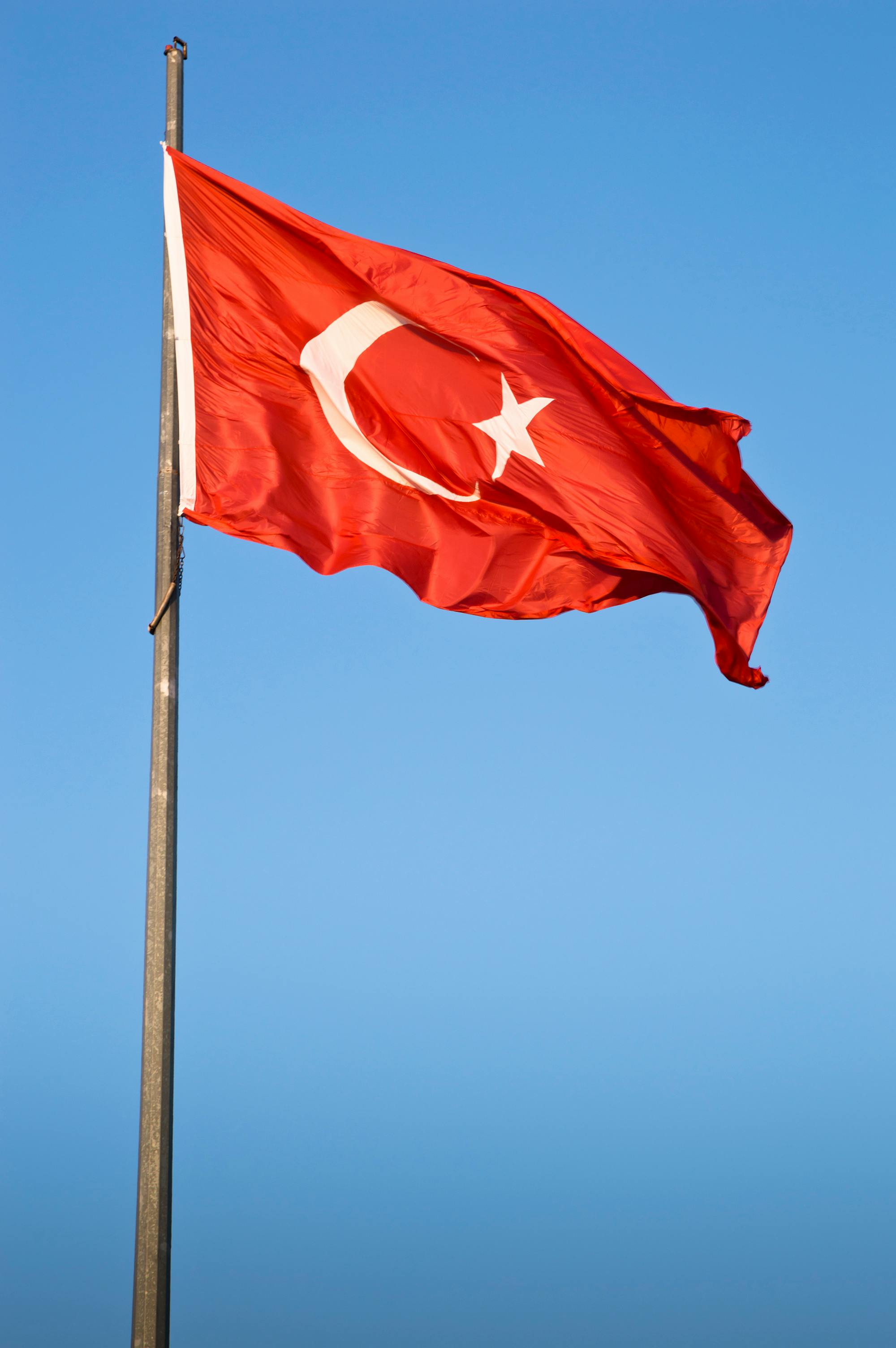 Wallet Red Blue Photos, Download The BEST Free Wallet Red Blue Stock ...