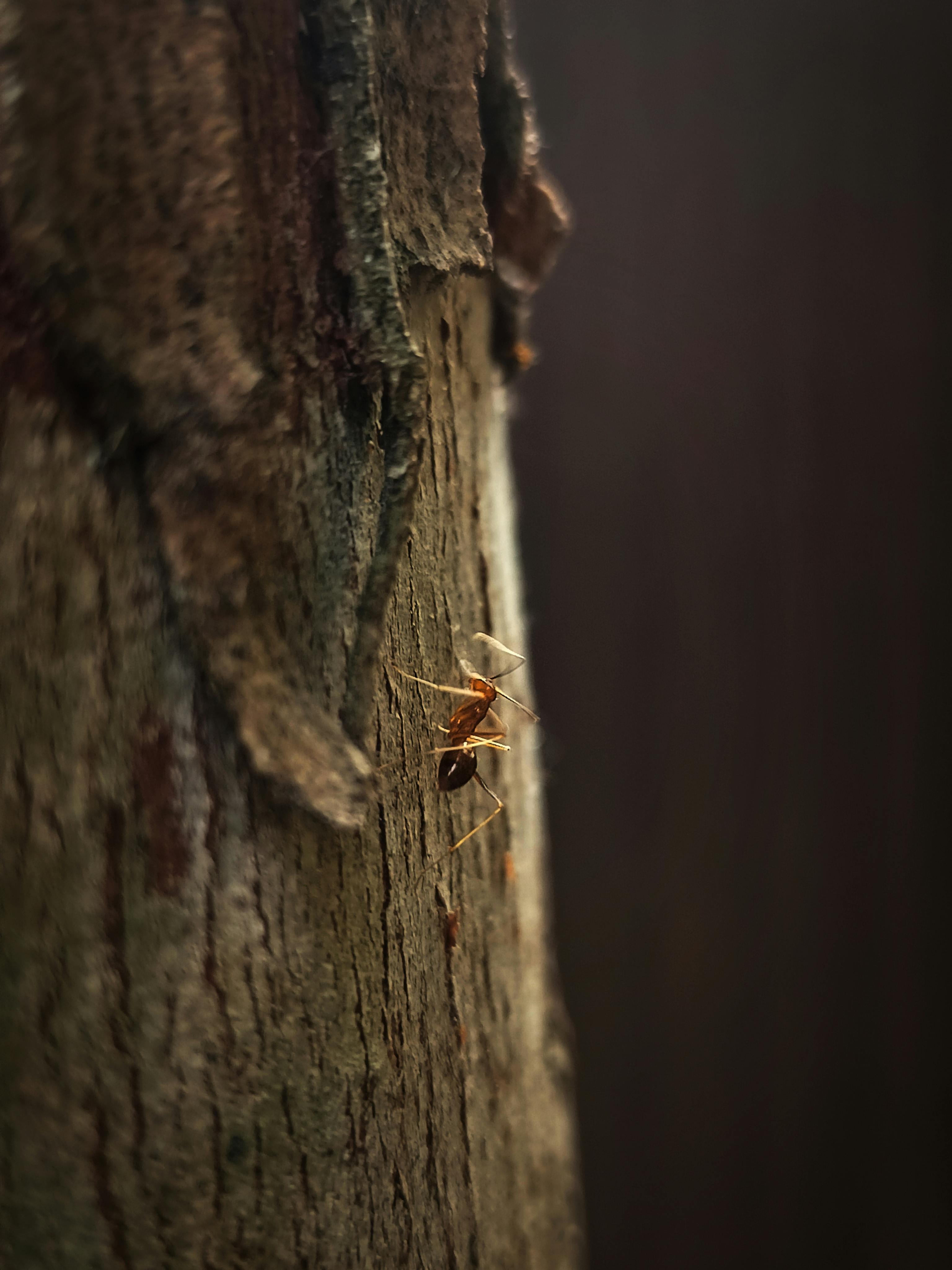 Small Dustbin Photos, Download The BEST Free Small Dustbin Stock Photos ...