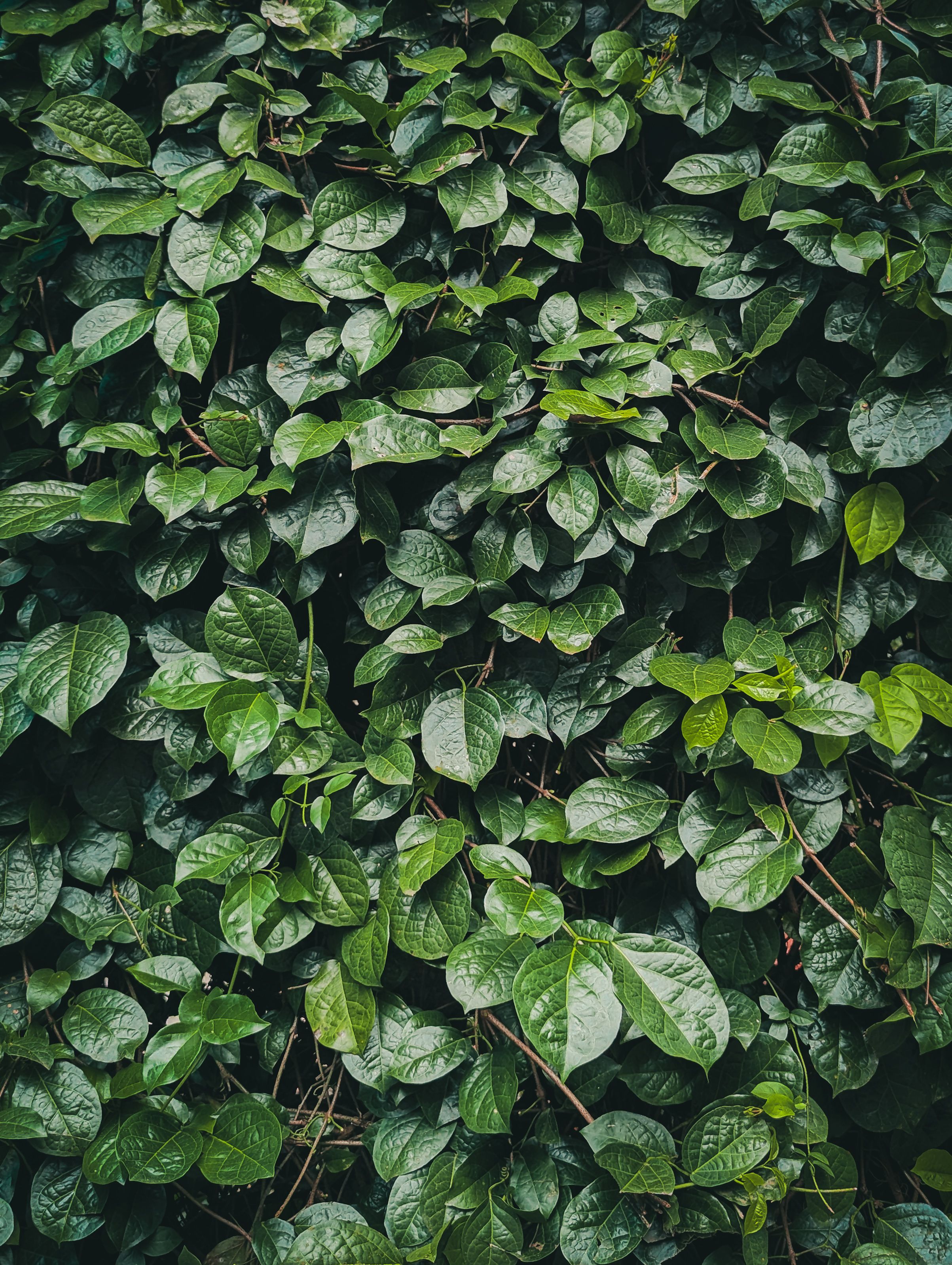 10k Wallpaper Photos, Download The BEST Free 10k Wallpaper Stock Photos ...