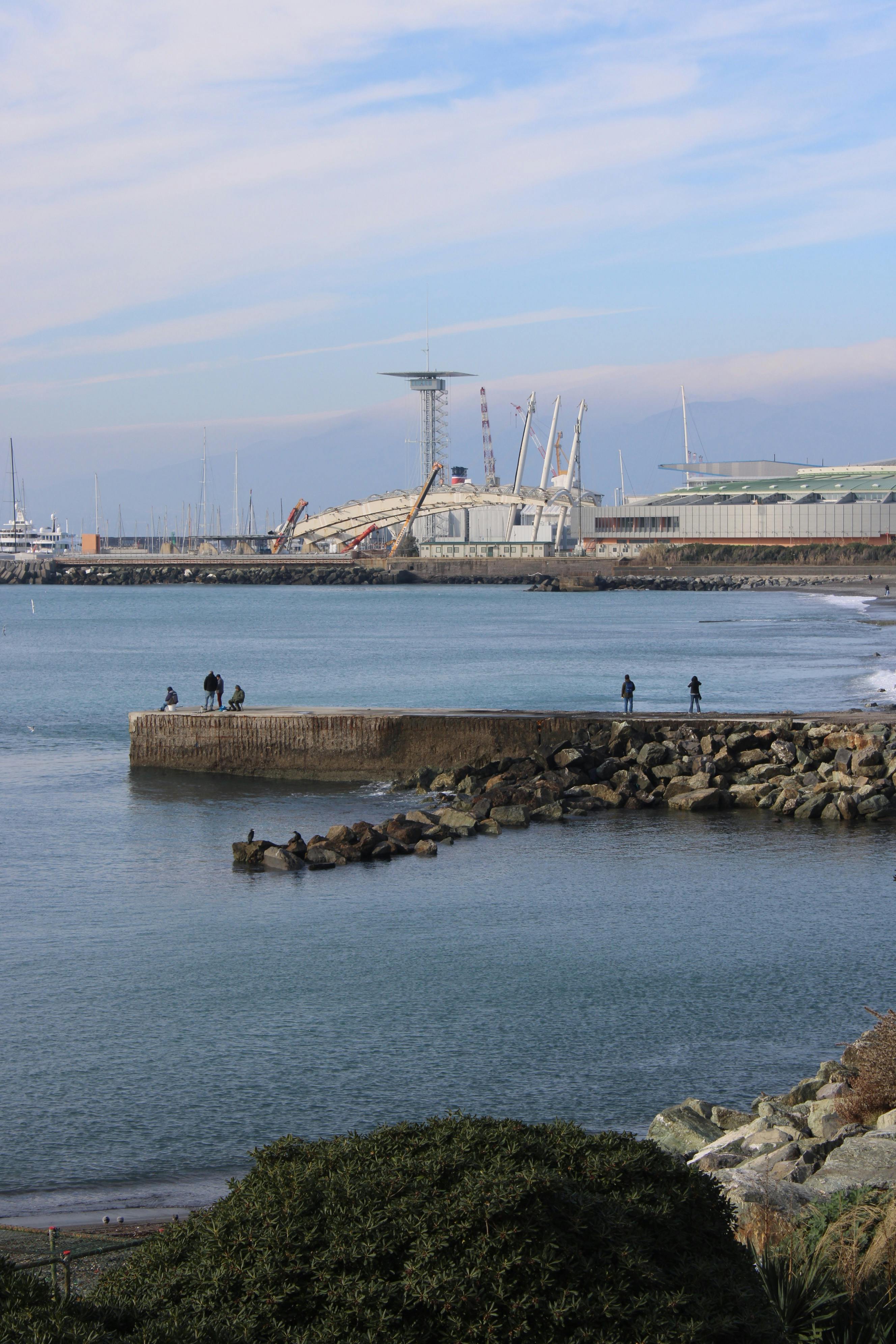 Xxxxx Video Mor Photos, Download The BEST Free Xxxxx Video Mor Stock ...