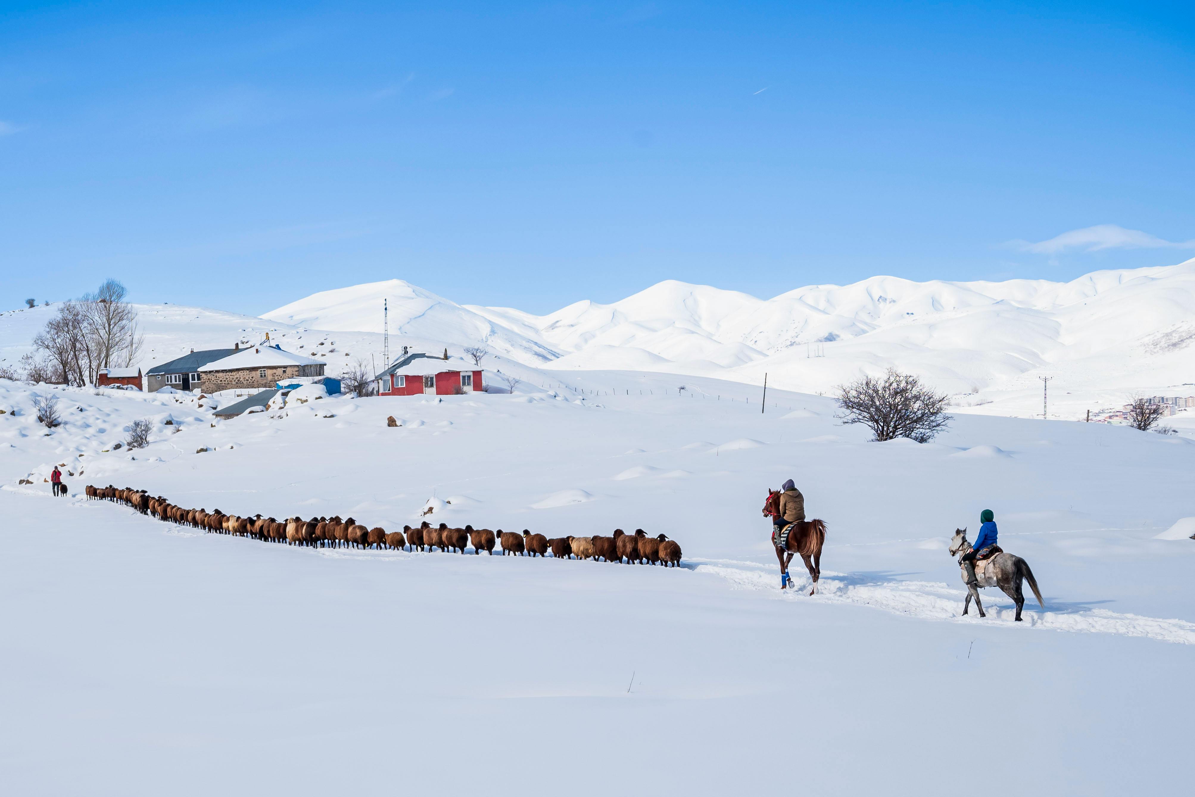 Farm Girl Kelly Photos, Download The BEST Free Farm Girl Kelly Stock ...