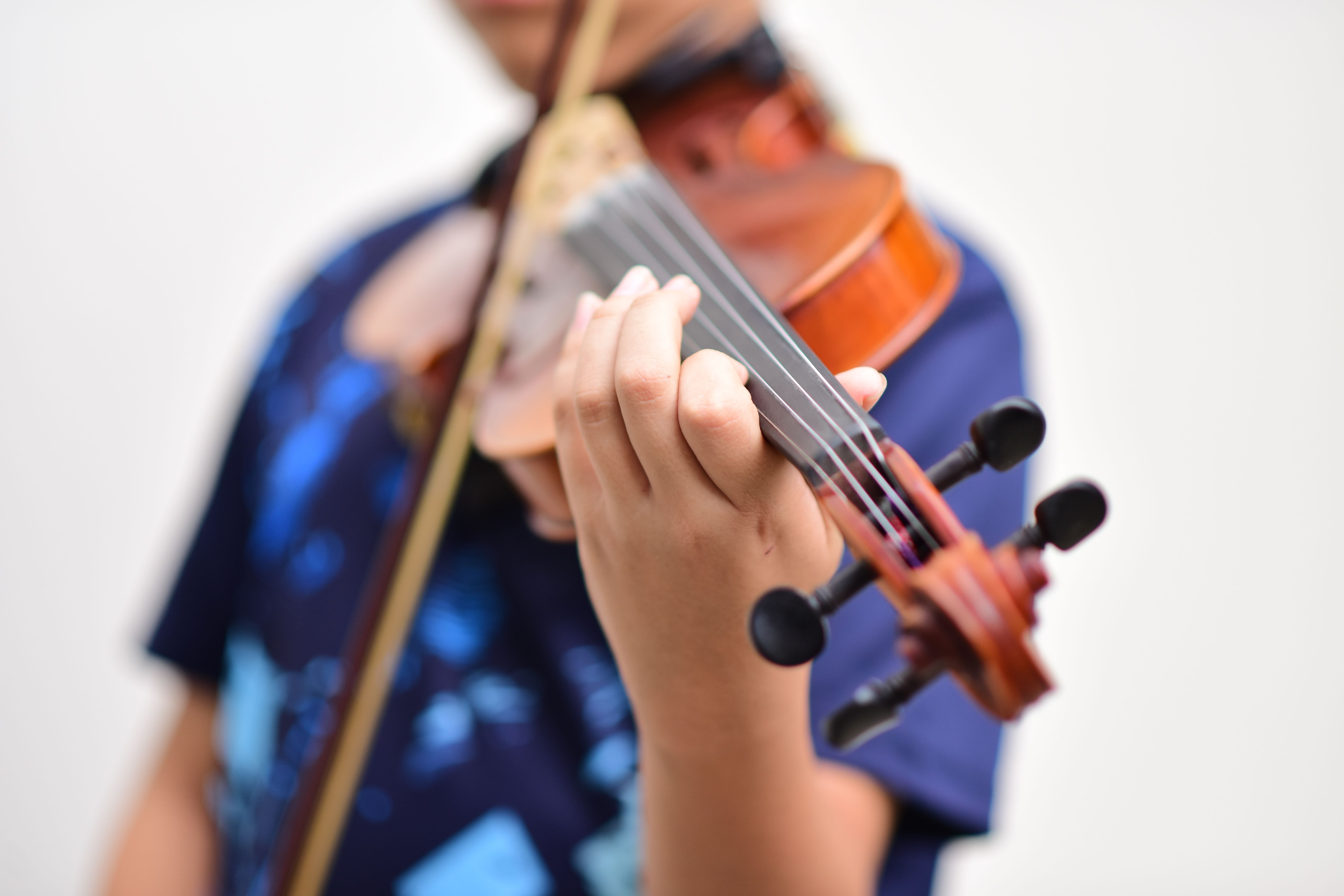 Violin Images Photos, Download The BEST Free Violin Images Stock Photos ...