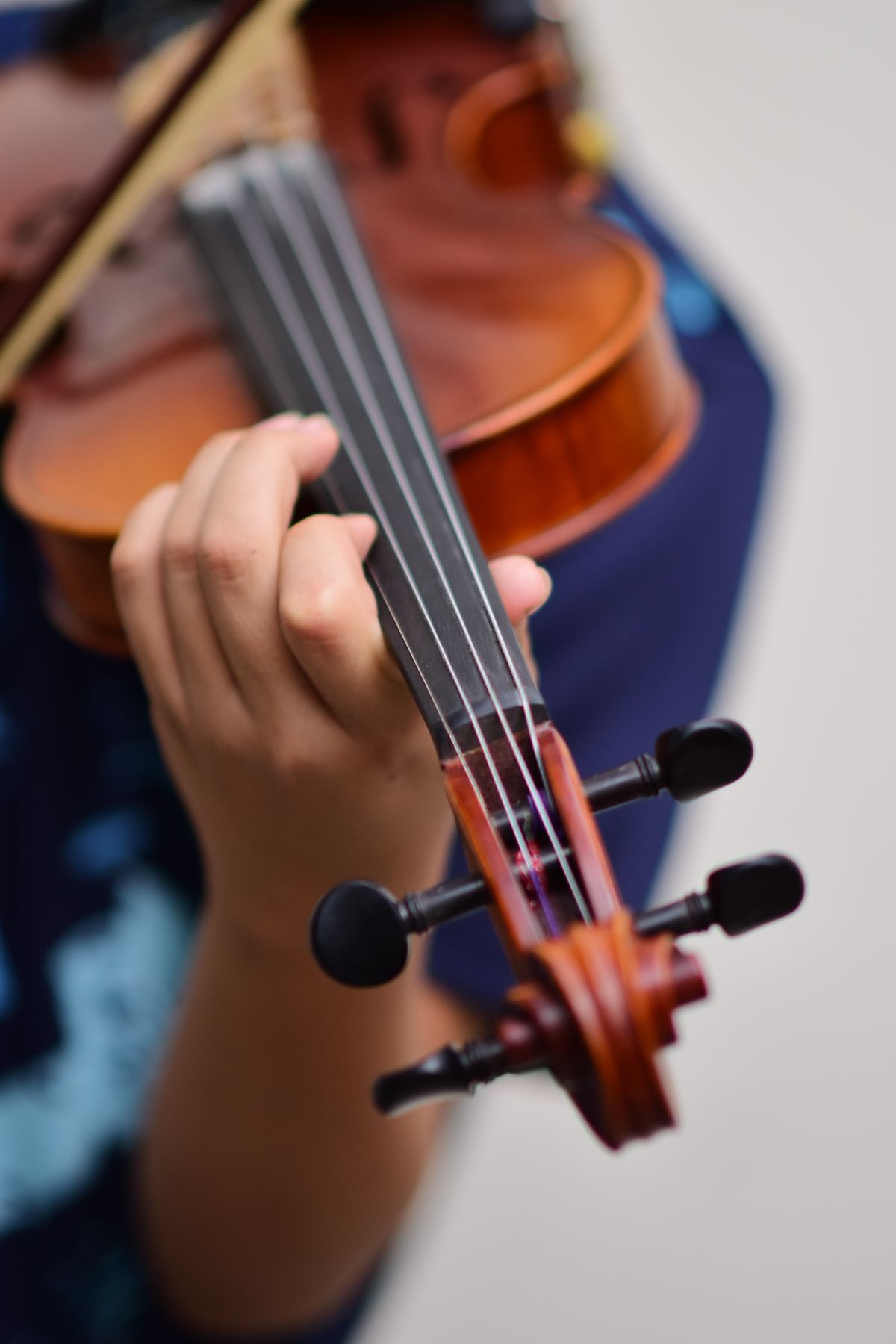 Violin Images Photos, Download The BEST Free Violin Images Stock Photos ...