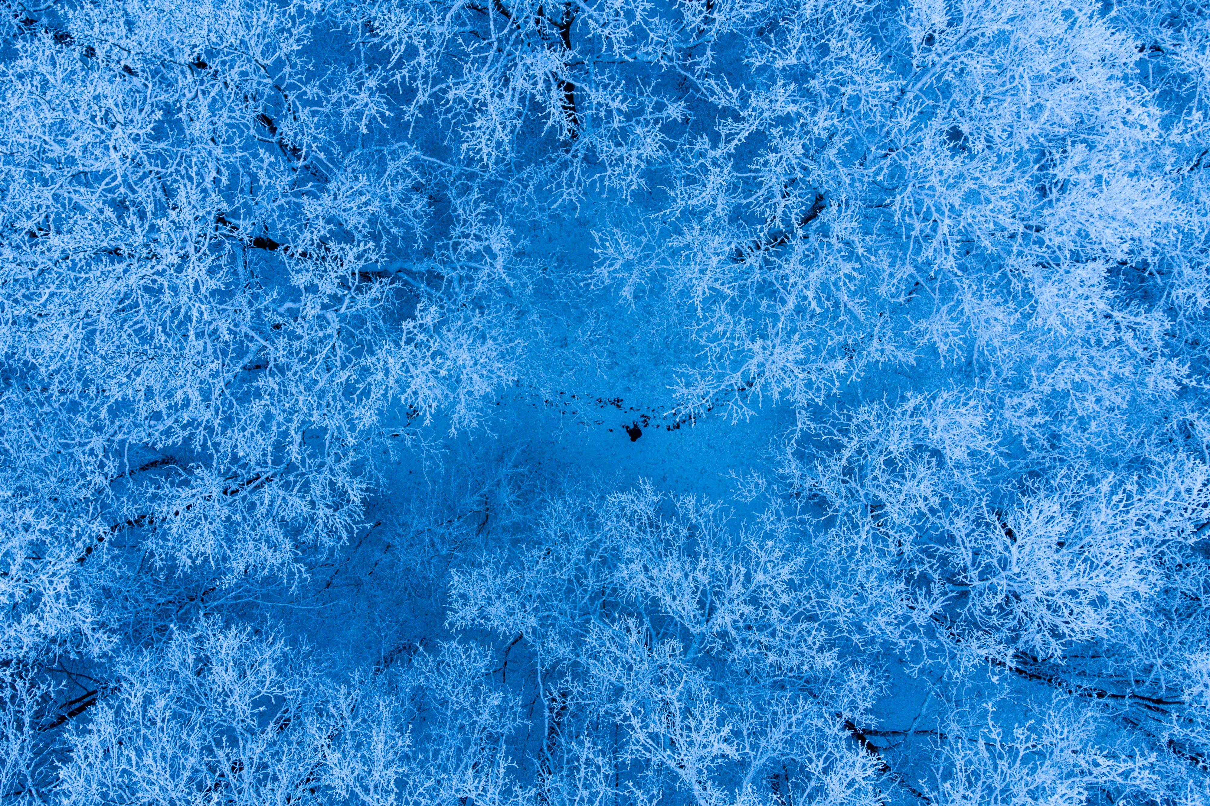 Imvu Textures Photos, Download The BEST Free Imvu Textures Stock Photos ...