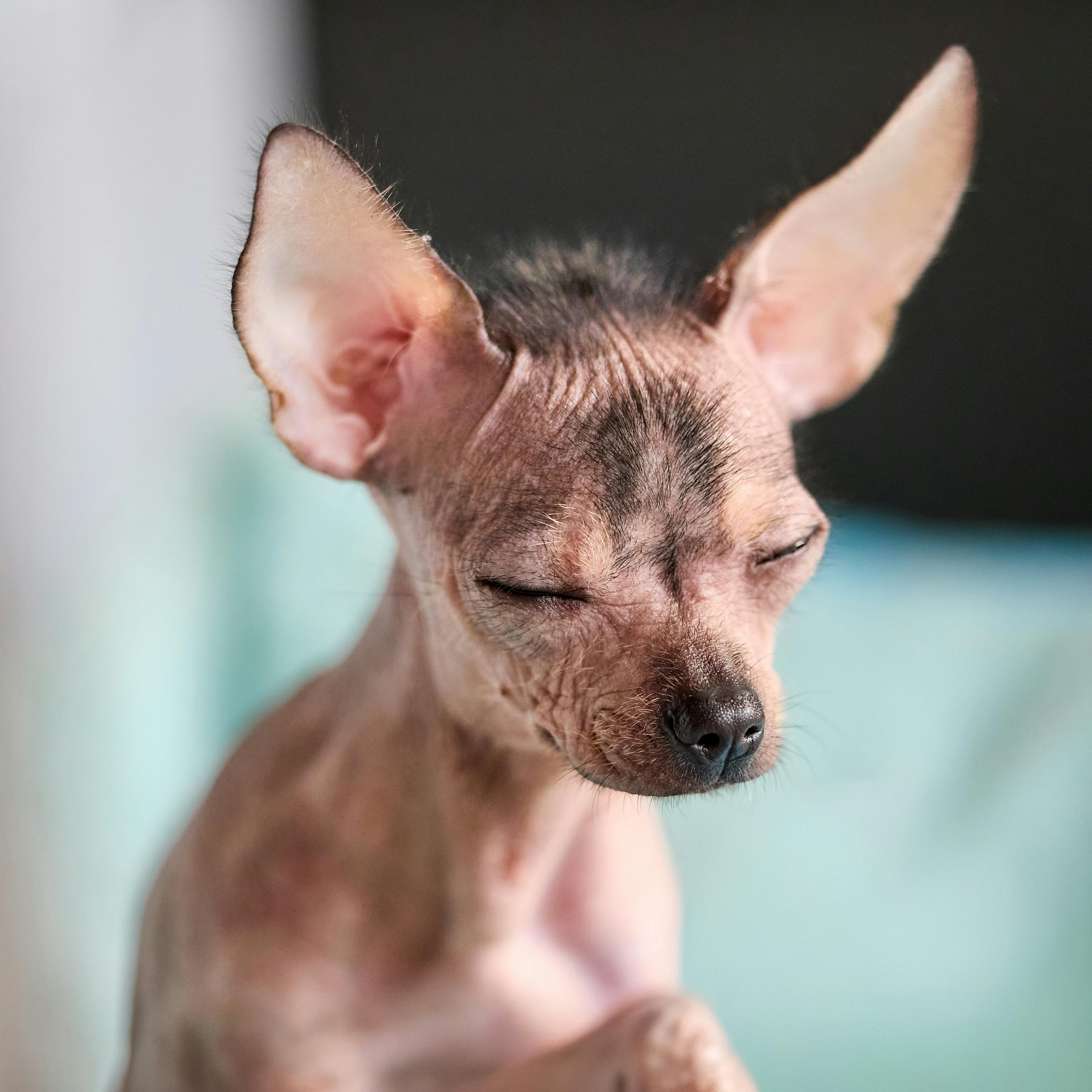 Girls+That+Have+No+Close+On Photos, Download The BEST Free Girls+That ...