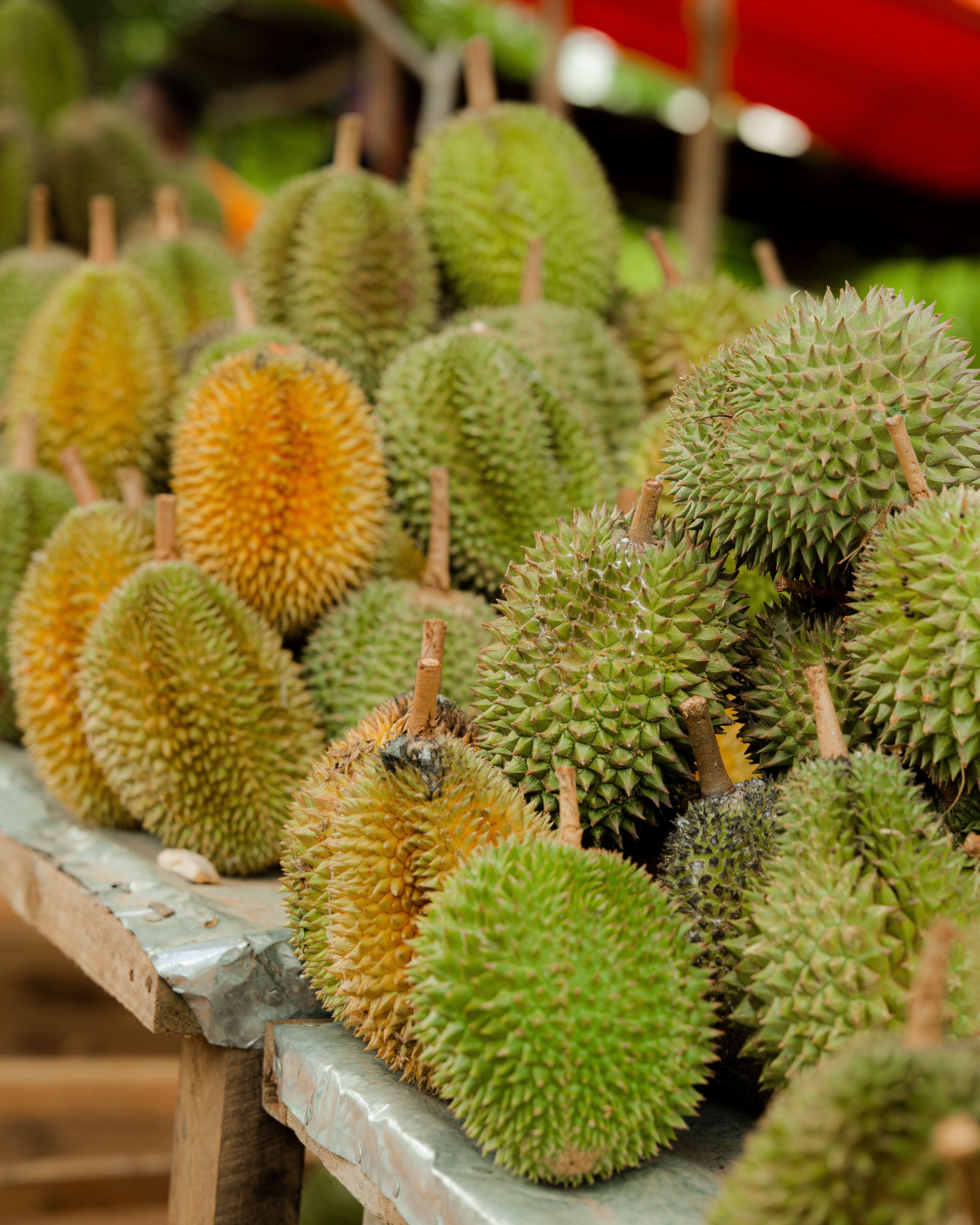 6.000+ Foto Durian Terbaik · Unduh Gratis 100% · Foto Stok Pexels
