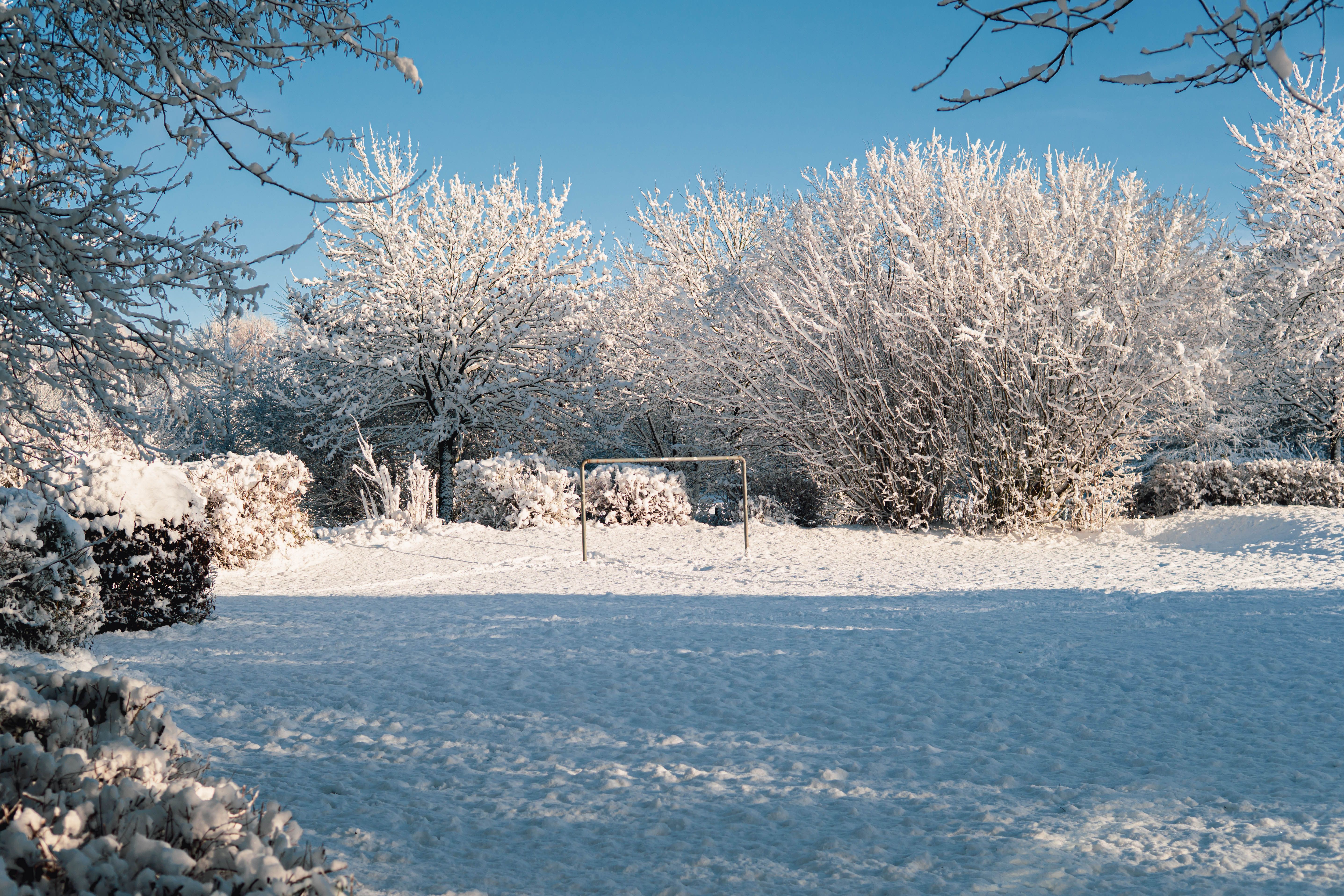 Snow Day Photos, Download The BEST Free Snow Day Stock Photos & HD Images