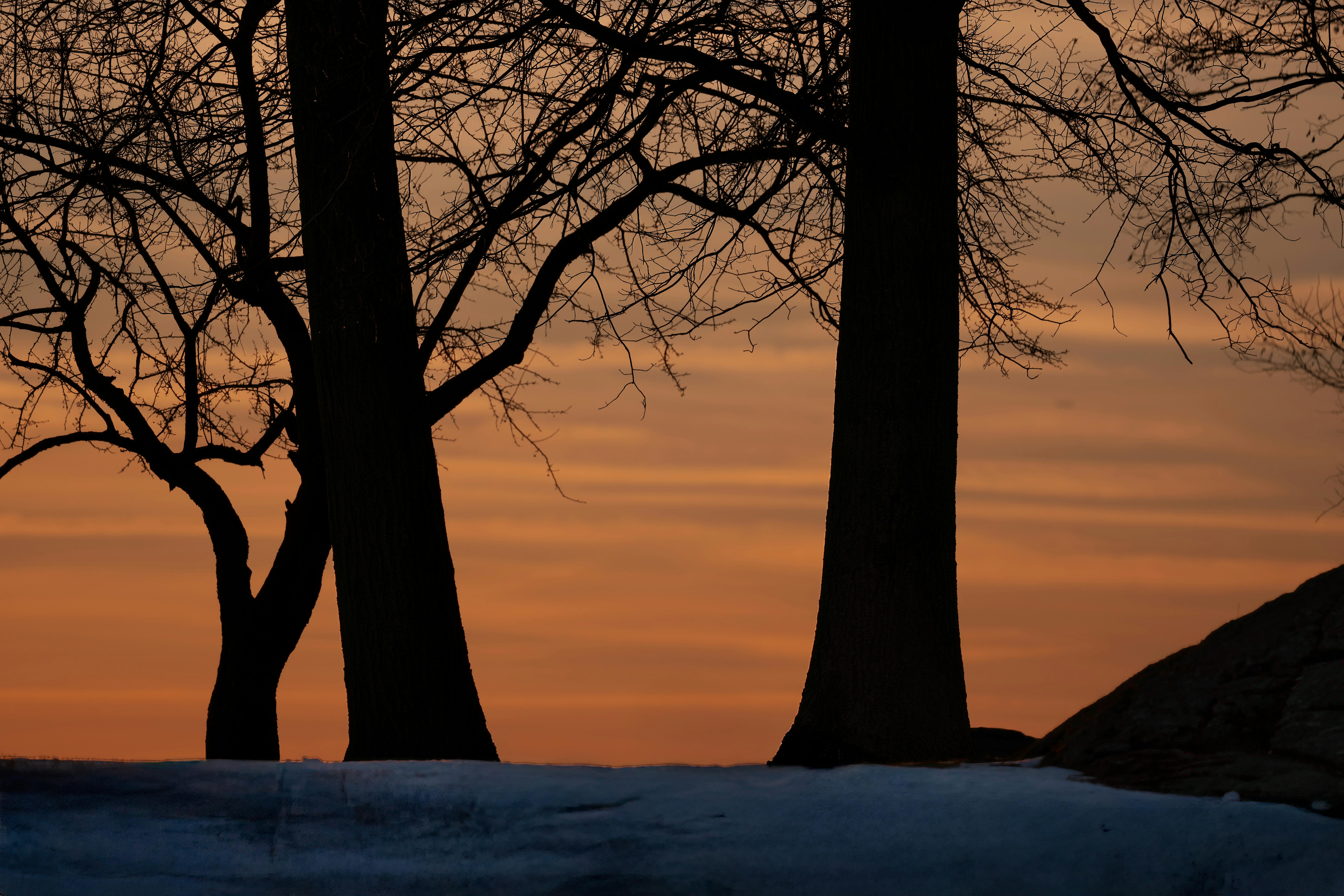 100.000+ Flag+of+serbia Bilder und Fotos · Kostenlos Downloaden ...