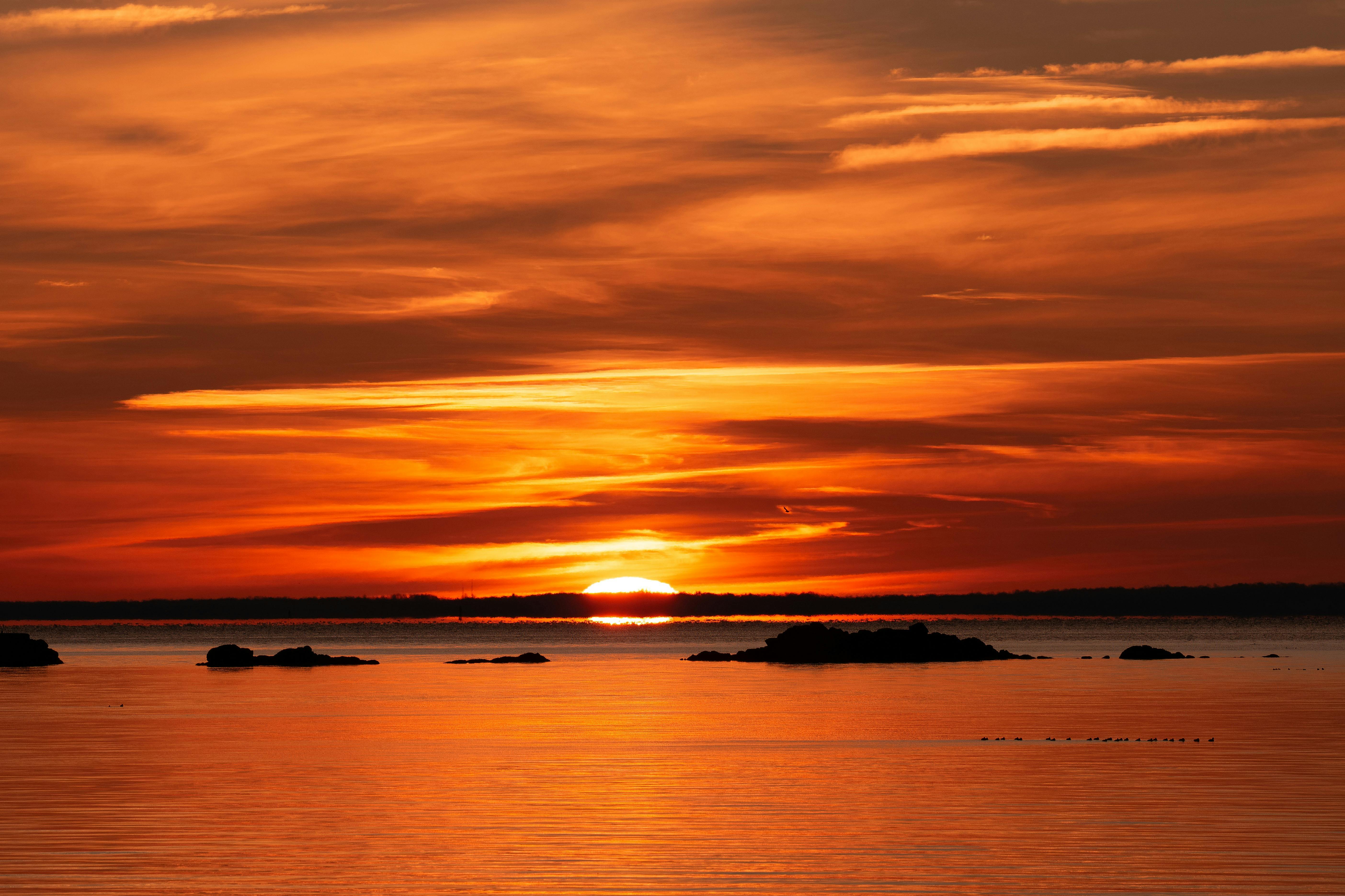 Winter+In+Florida+Bakcground Photos, Download The BEST Free Winter+In ...