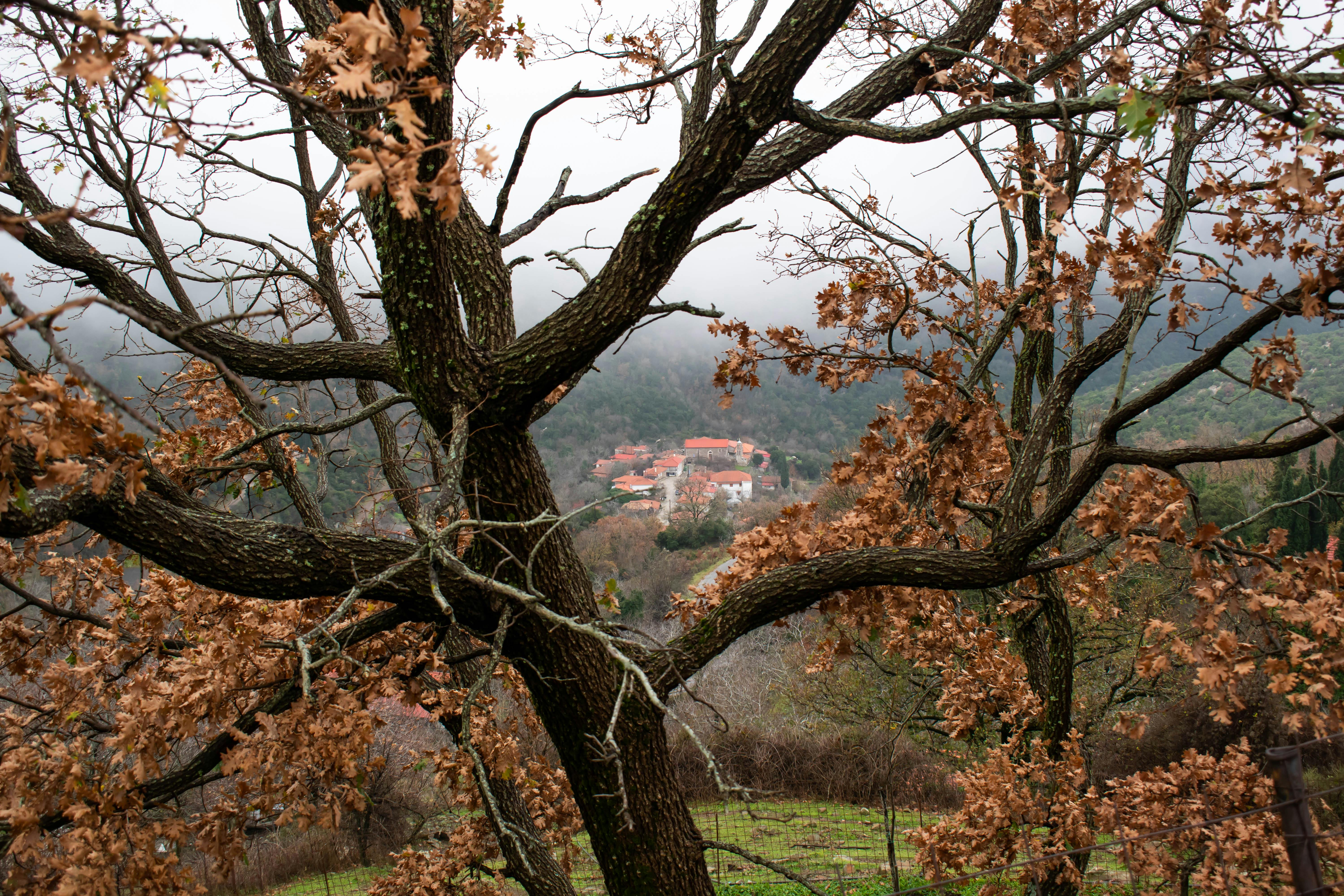 4k Wallpaperviolet Myers Photos, Download The BEST Free 4k ...