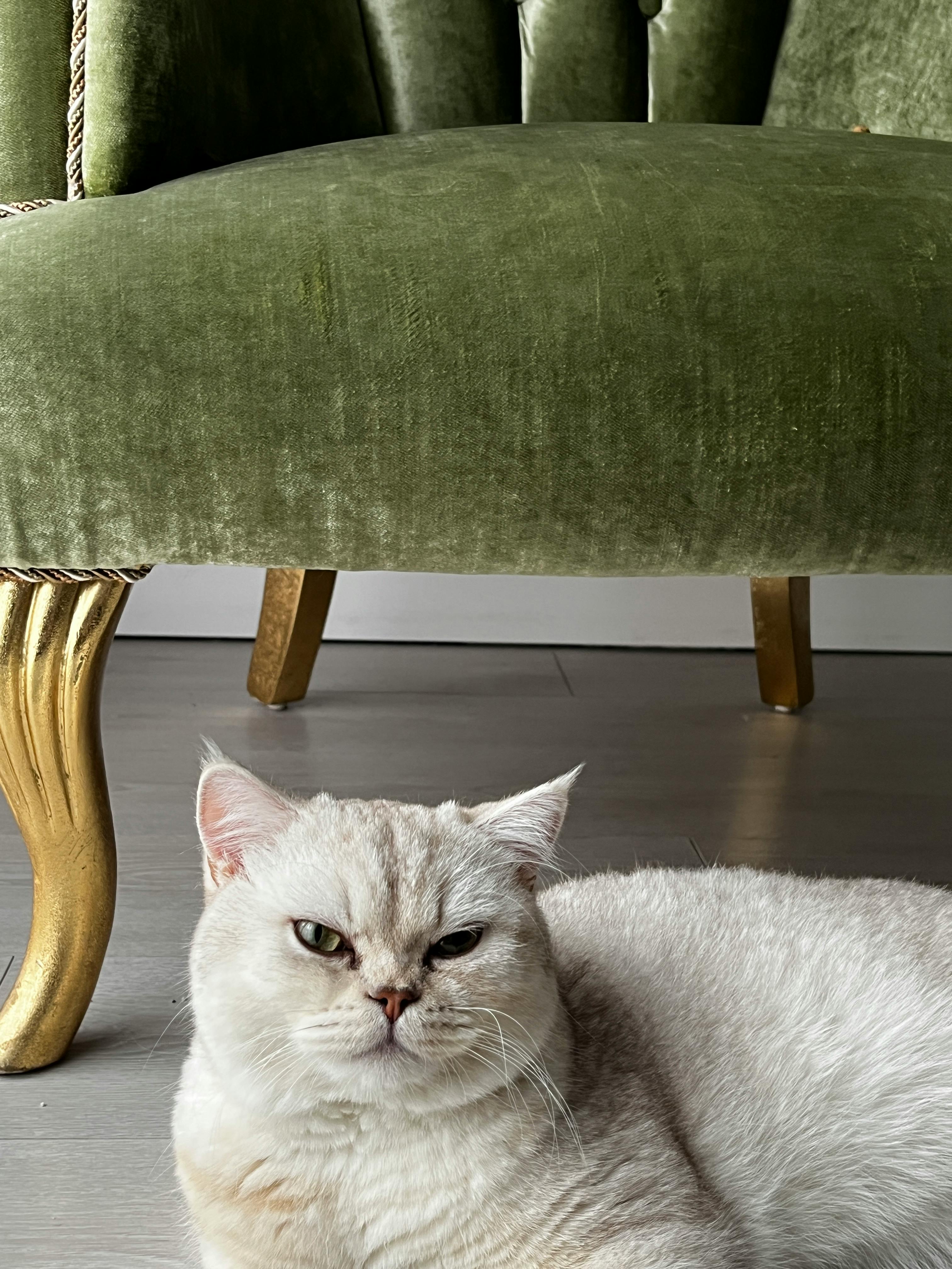 Details+On+High Photos, Download The BEST Free Details+On+High Stock ...