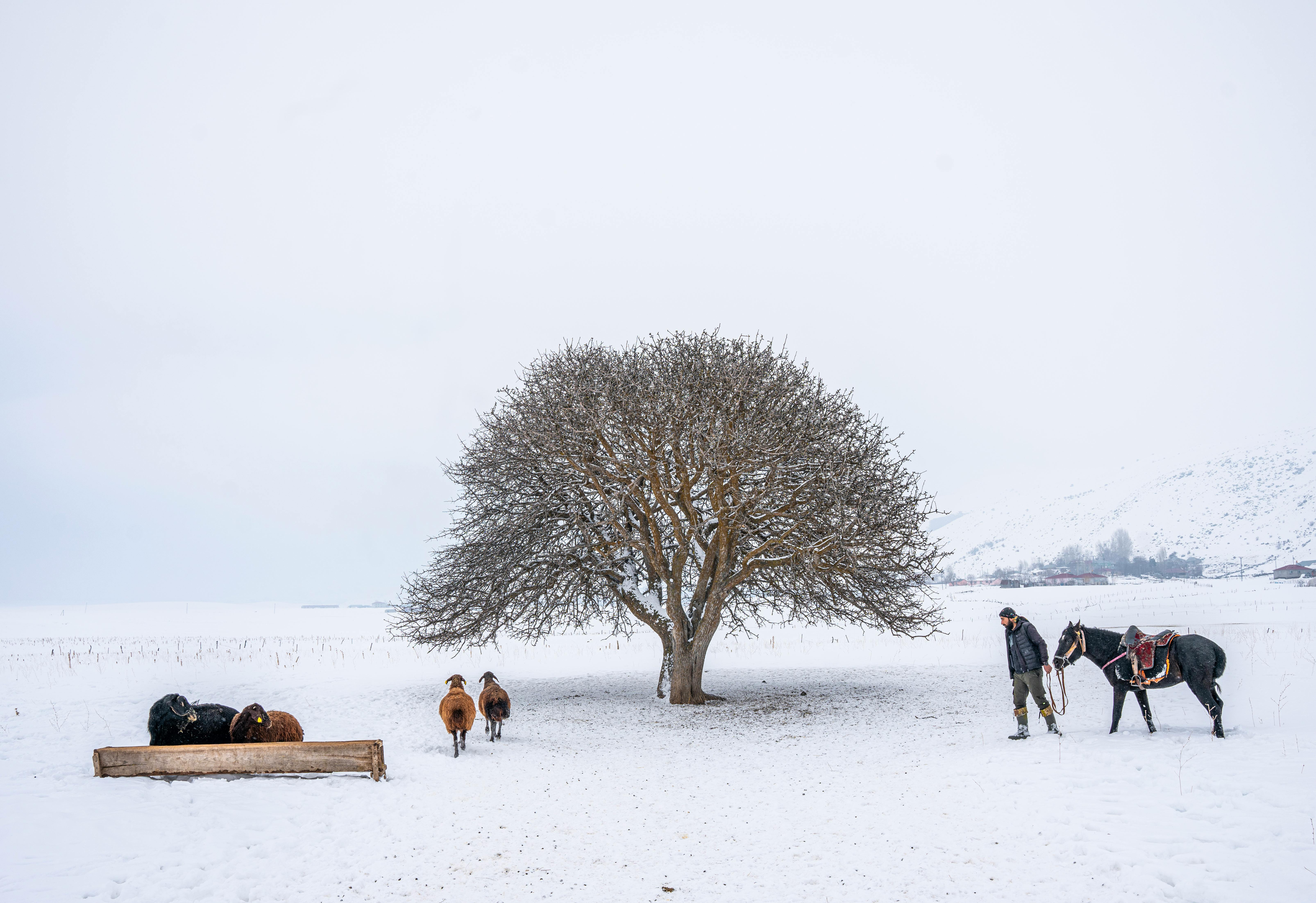 Honduras Country Photos, Download The BEST Free Honduras Country Stock ...