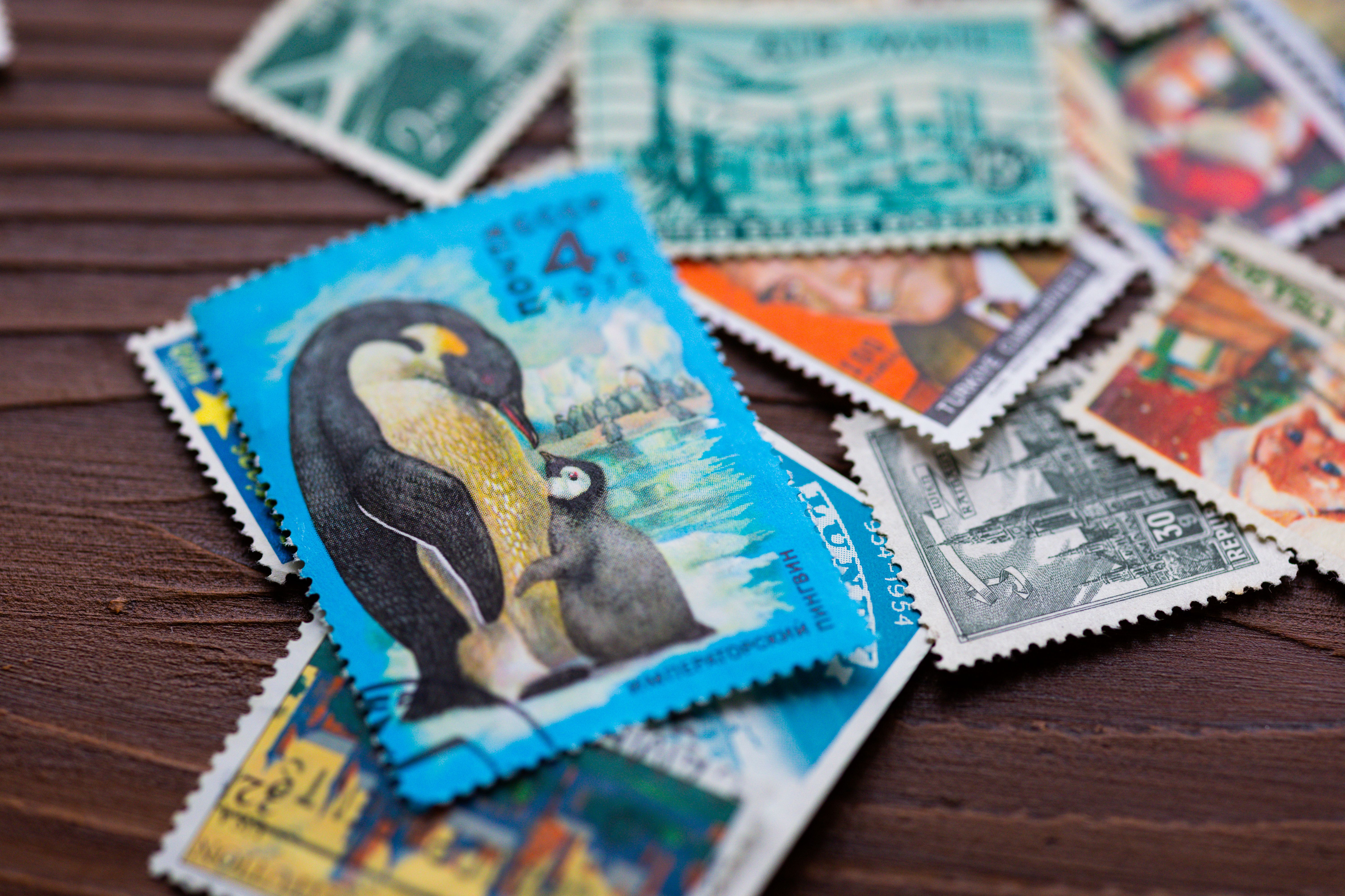 Postage Stamp Photos, Download The BEST Free Postage Stamp Stock Photos ...